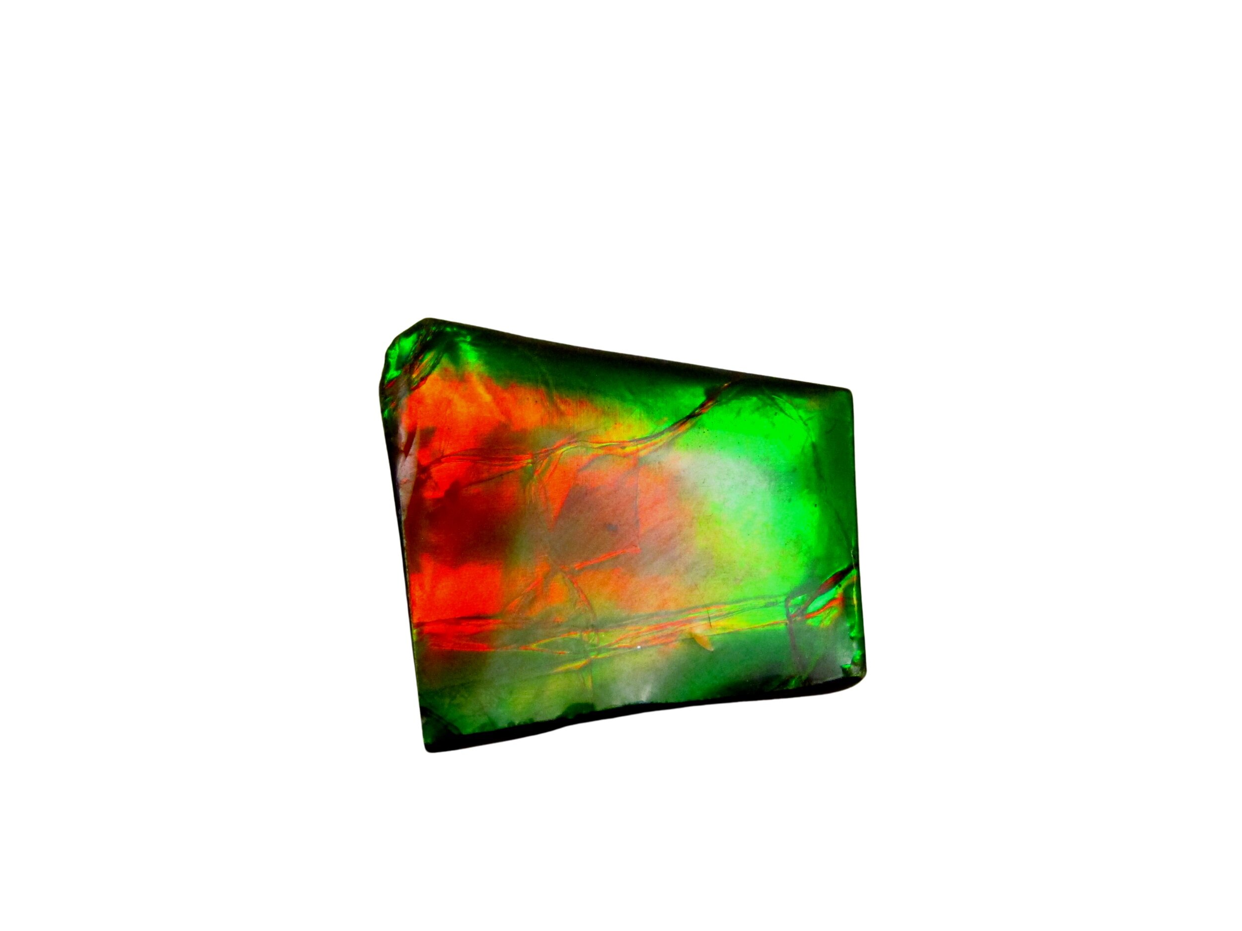 Shop — Ammolite Canada