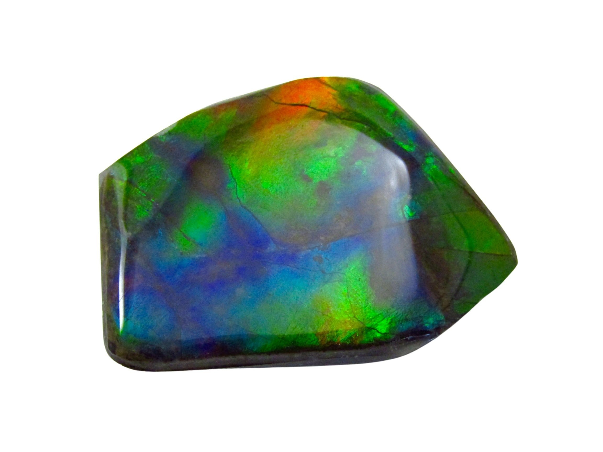 Shop — Ammolite Canada