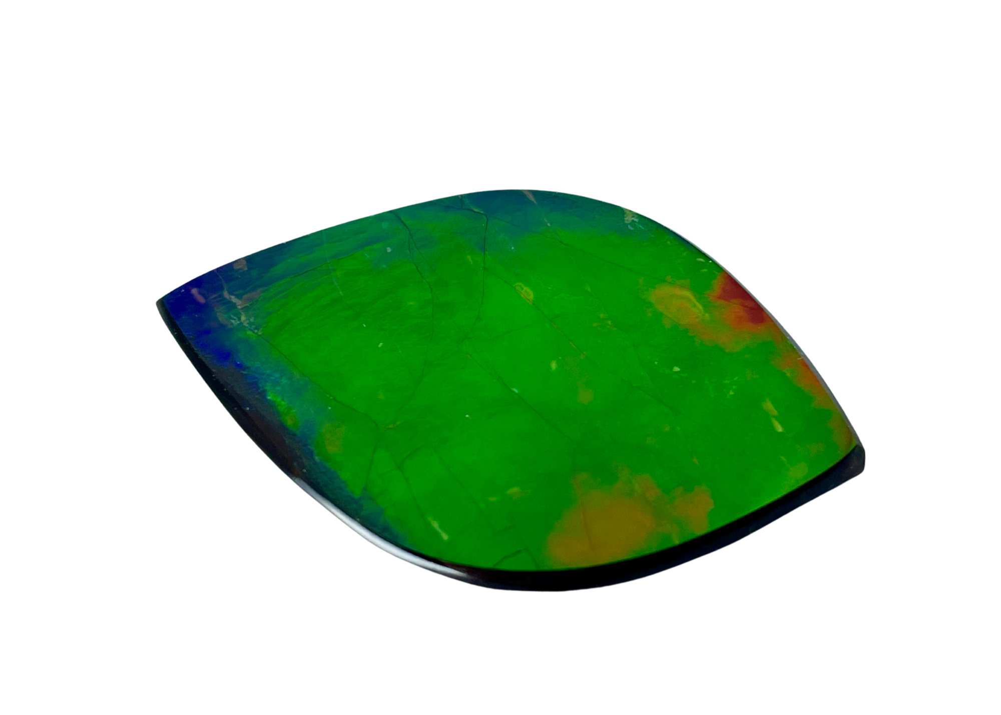 AA Gem Grade Ammolite Gemstone — Ammolite Canada