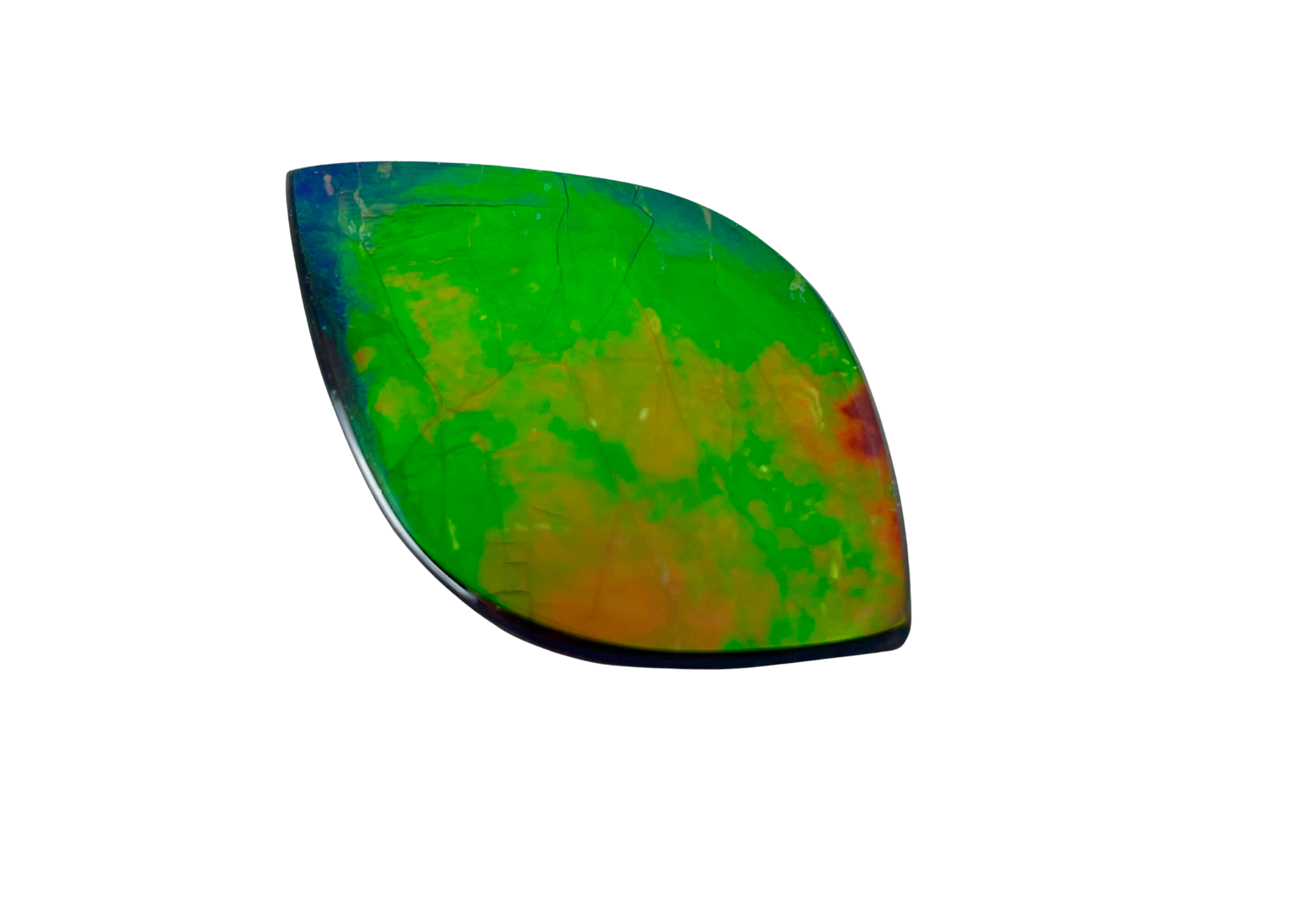 AA Gem Grade Ammolite Gemstone — Ammolite Canada