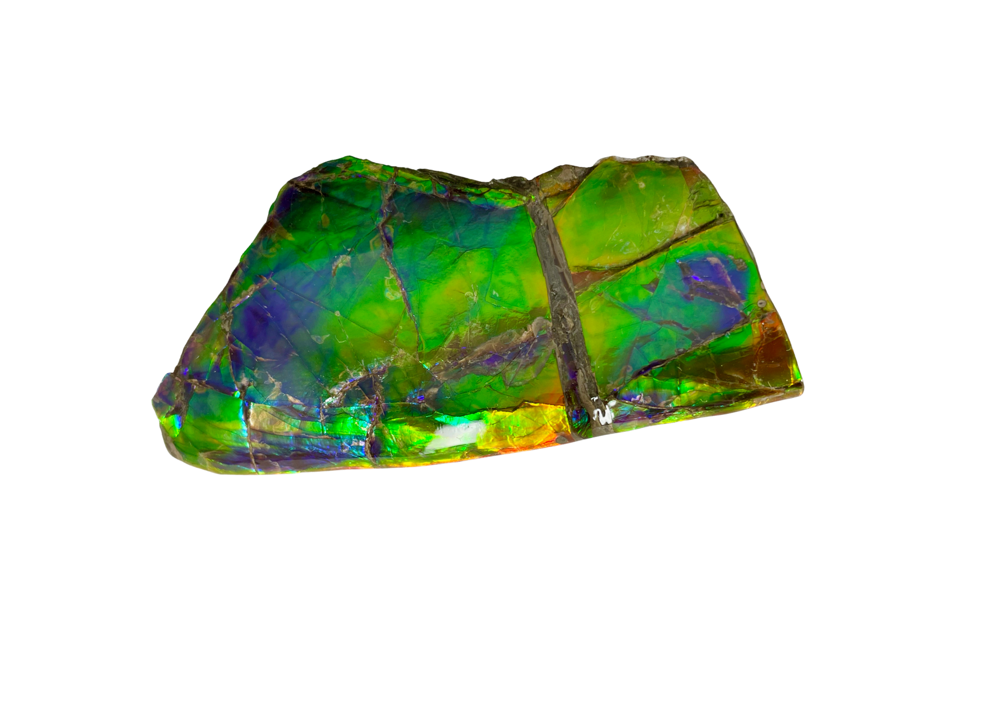 AA Gem Grade Ammolite Art Piece — Ammolite Canada