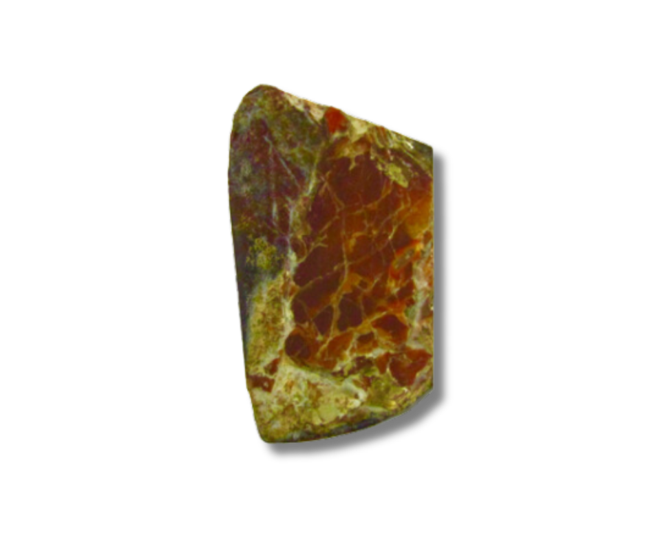 How is Ammolite Graded? — Ammolite Canada