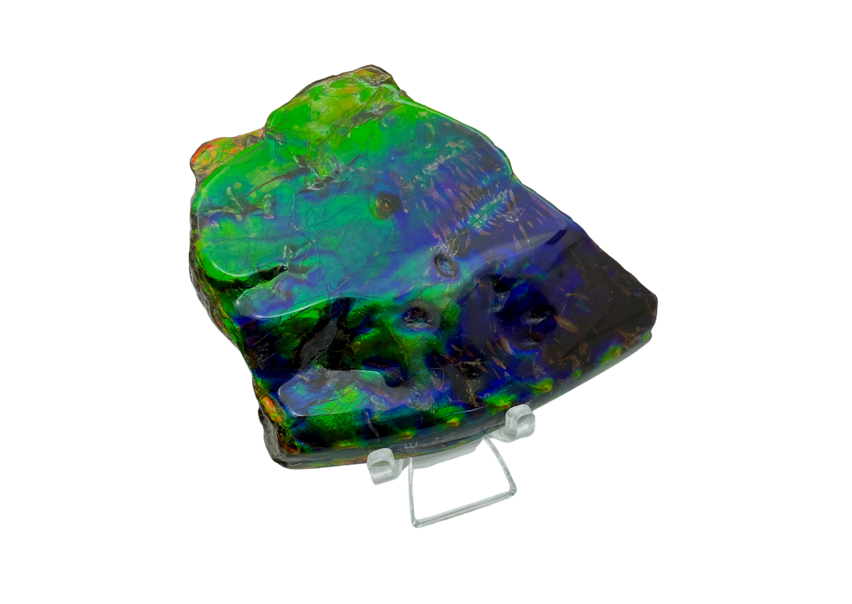 AA Grade Intercalare Ammolite Art Piece — Ammolite Canada