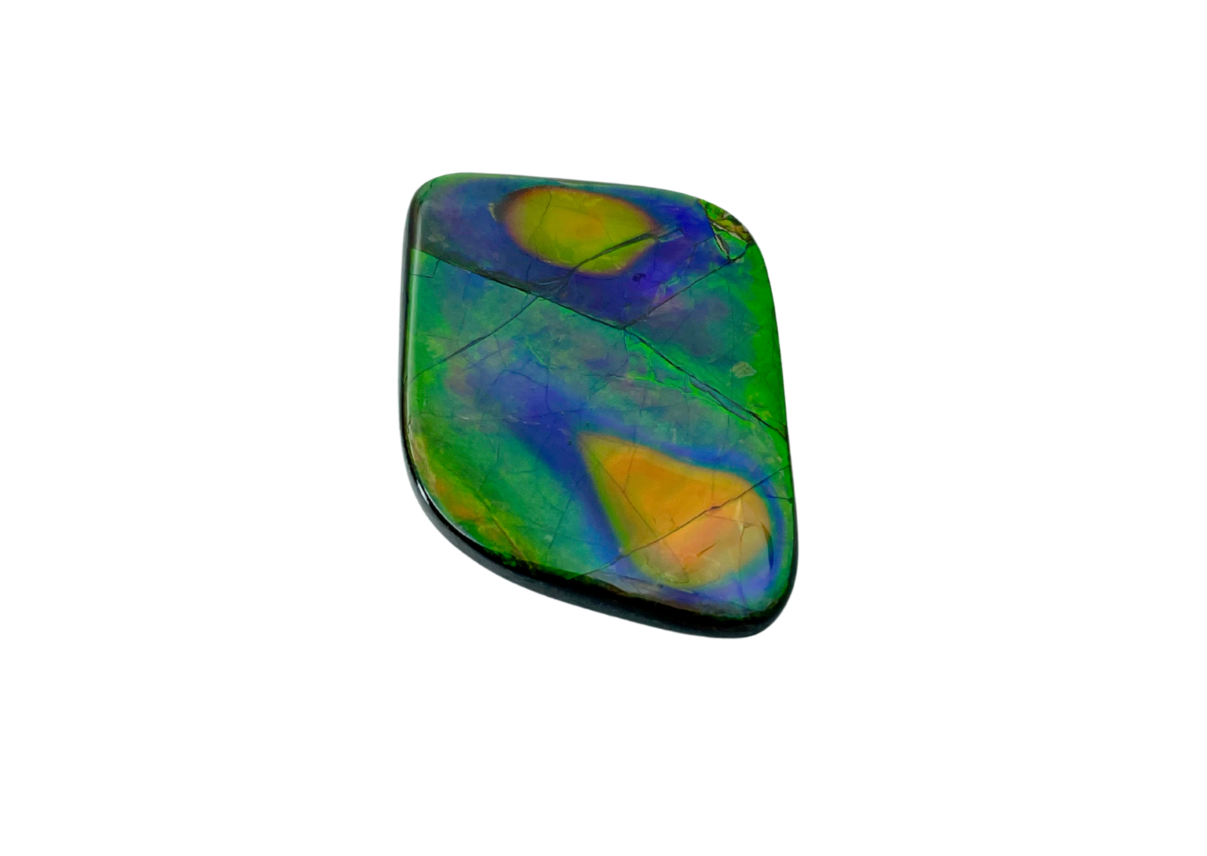 AA Grade Ammolite Gemstone — Ammolite Canada