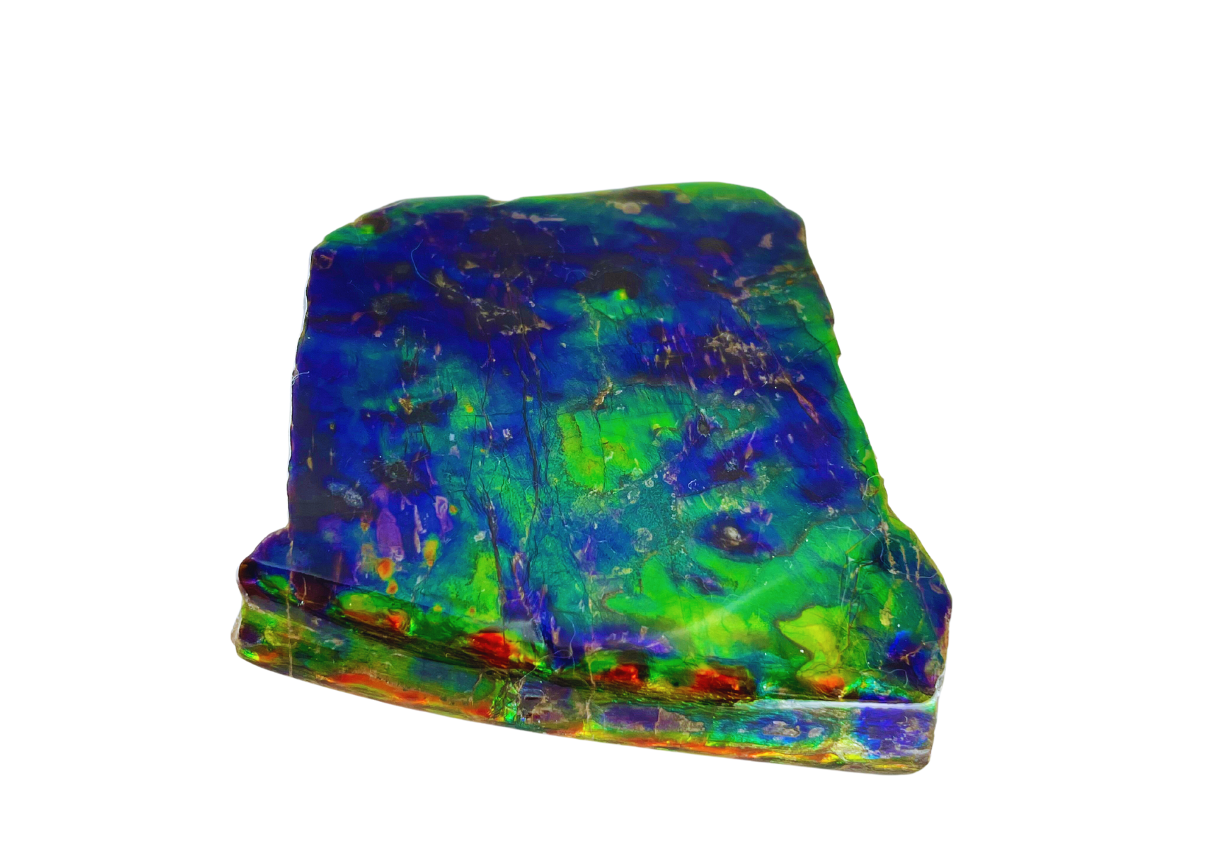 AA Grade Intercalare Ammolite Art Piece with Suture Patterns — Ammolite ...