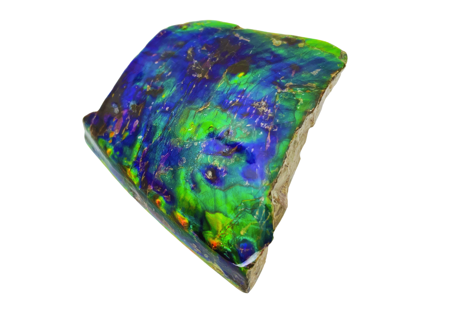 AA Grade Intercalare Ammolite Art Piece with Suture Patterns — Ammolite ...