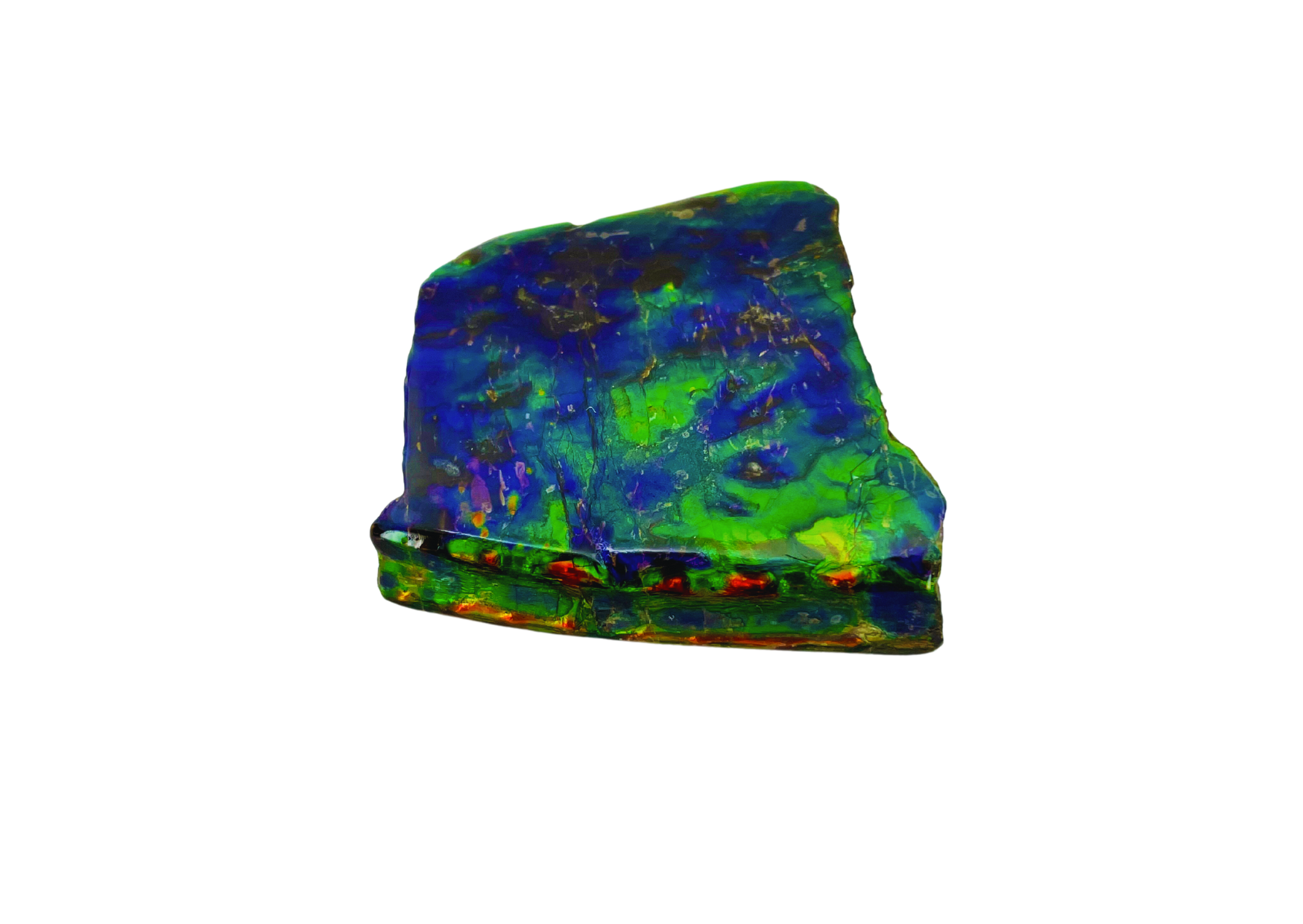 AA Grade Intercalare Ammolite Art Piece with Suture Patterns — Ammolite ...