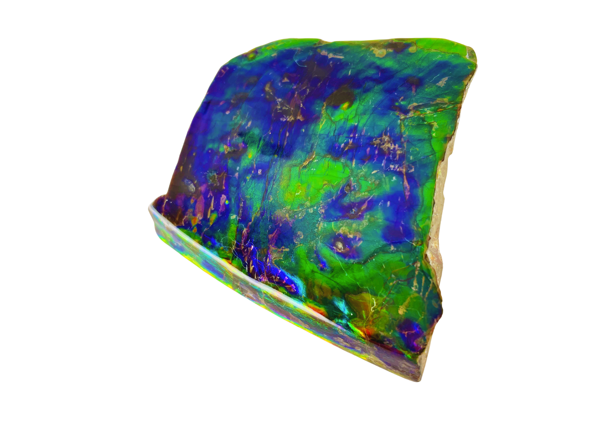 AA Grade Intercalare Ammolite Art Piece with Suture Patterns — Ammolite ...