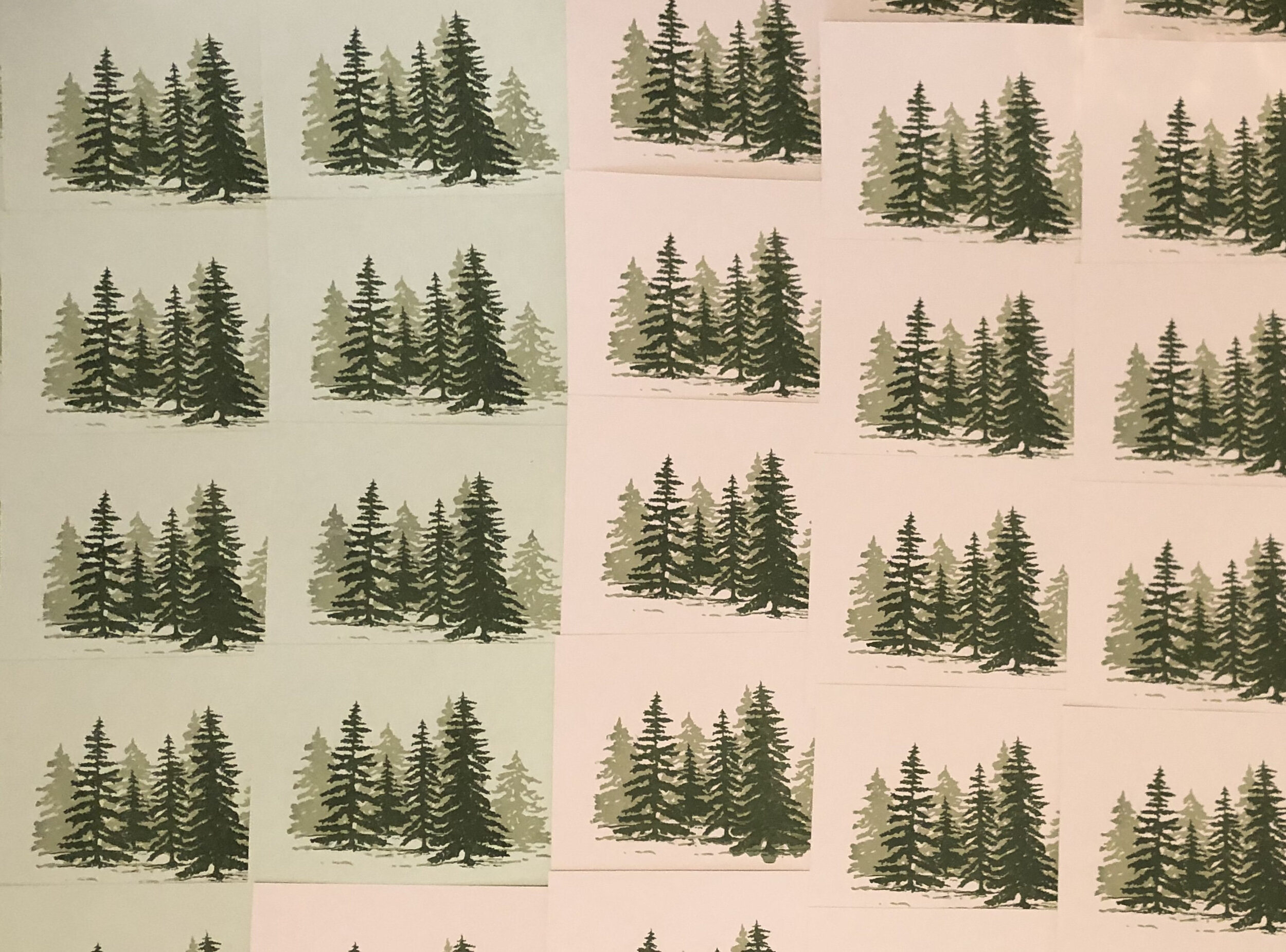 Shop | Leah Storrs Fisher | Fine Artist & Printmaker | Columbus, Ohio