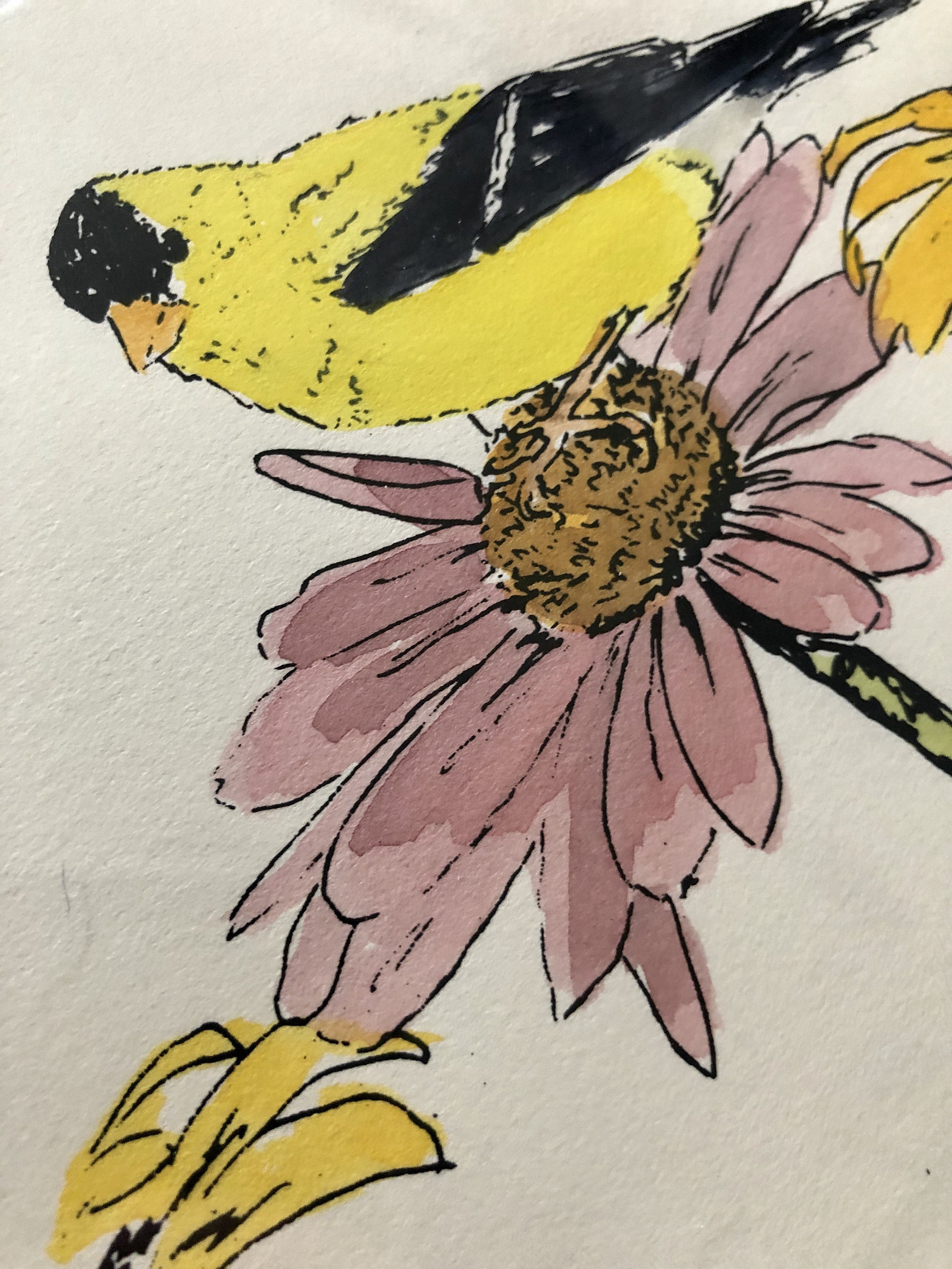 Shop | Leah Storrs Fisher | Fine Artist & Printmaker | Columbus, Ohio