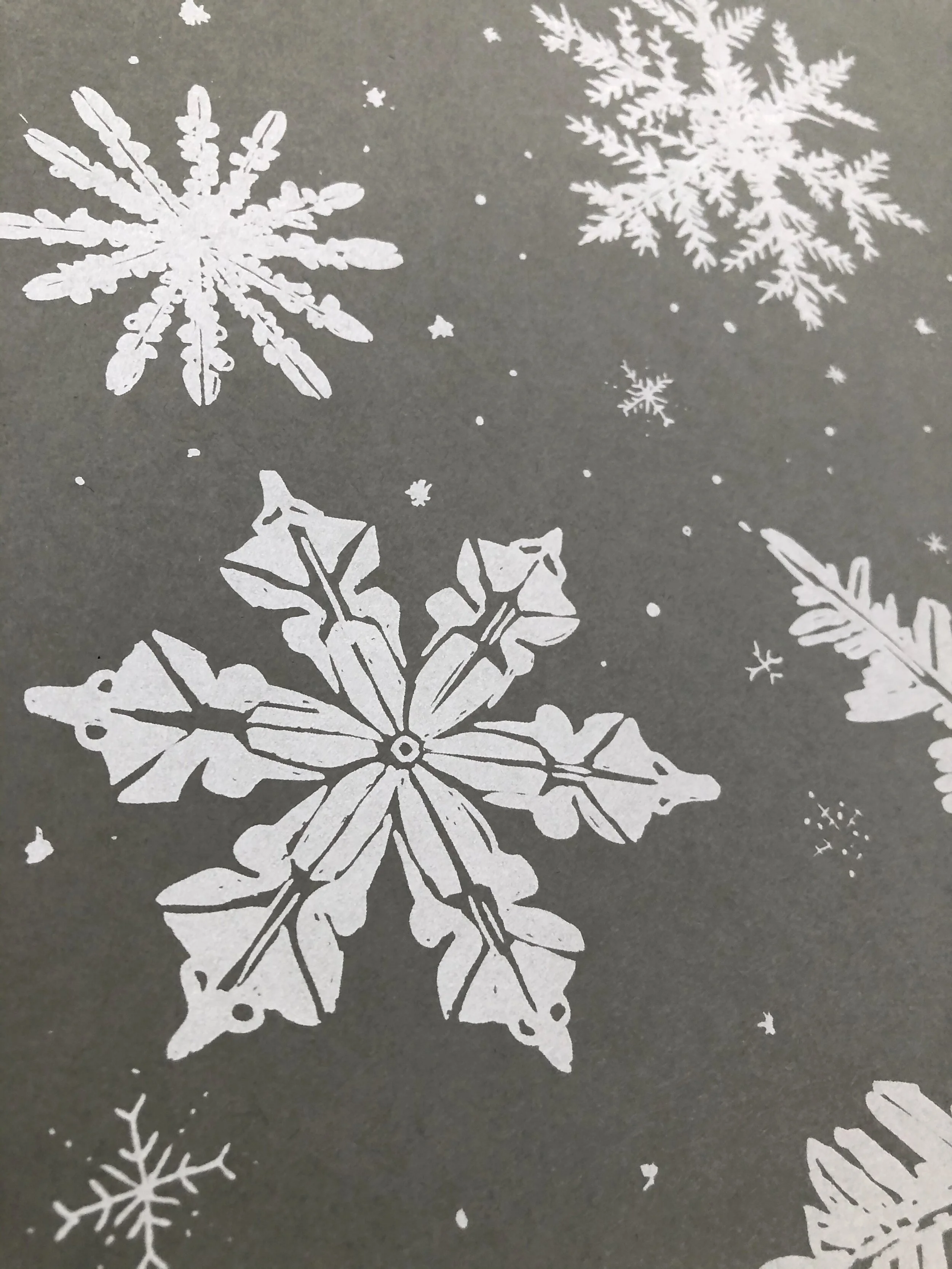 Shop | Leah Storrs Fisher | Fine Artist & Printmaker | Columbus, Ohio