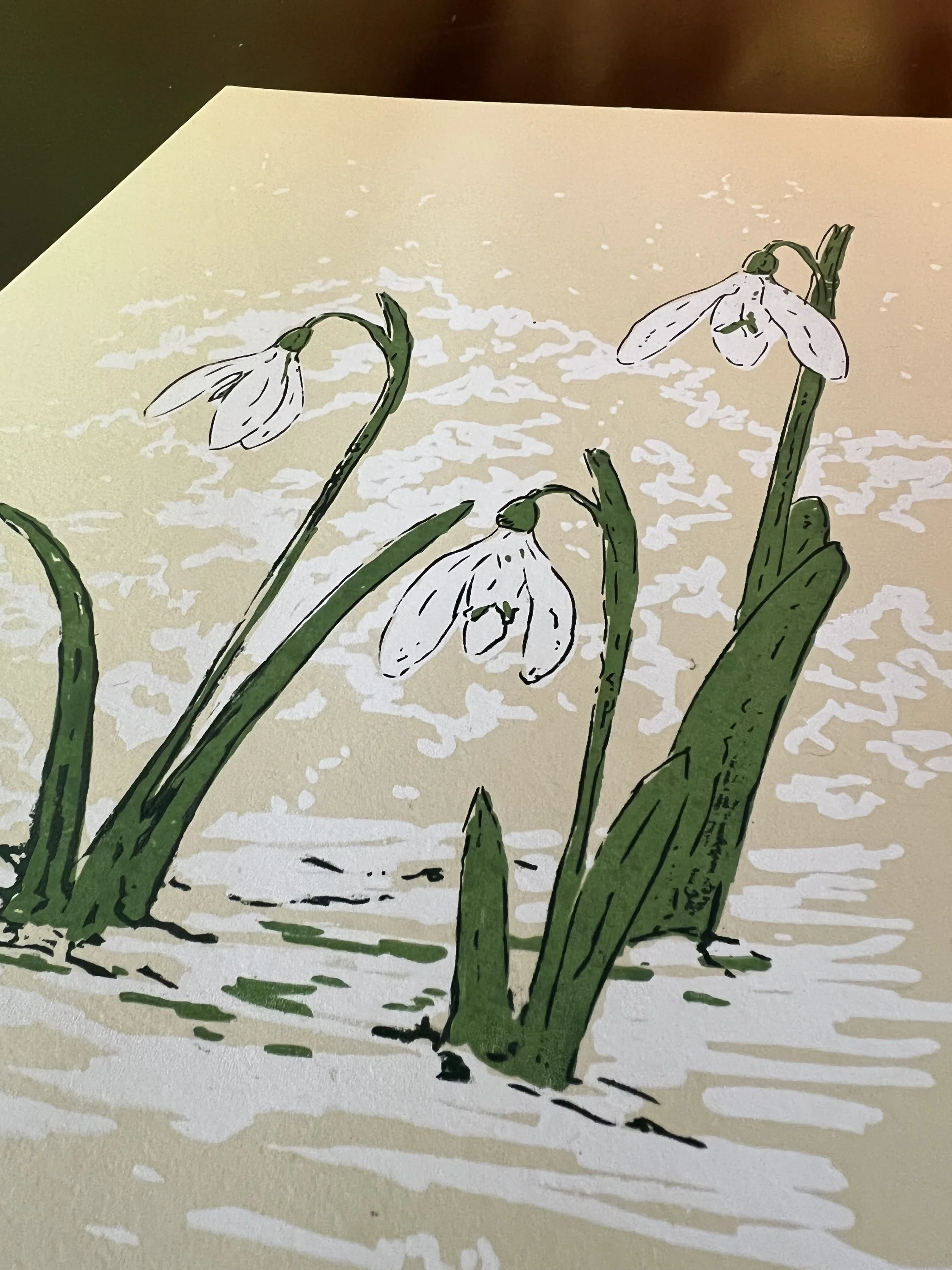Shop | Leah Storrs Fisher | Fine Artist & Printmaker | Columbus, Ohio