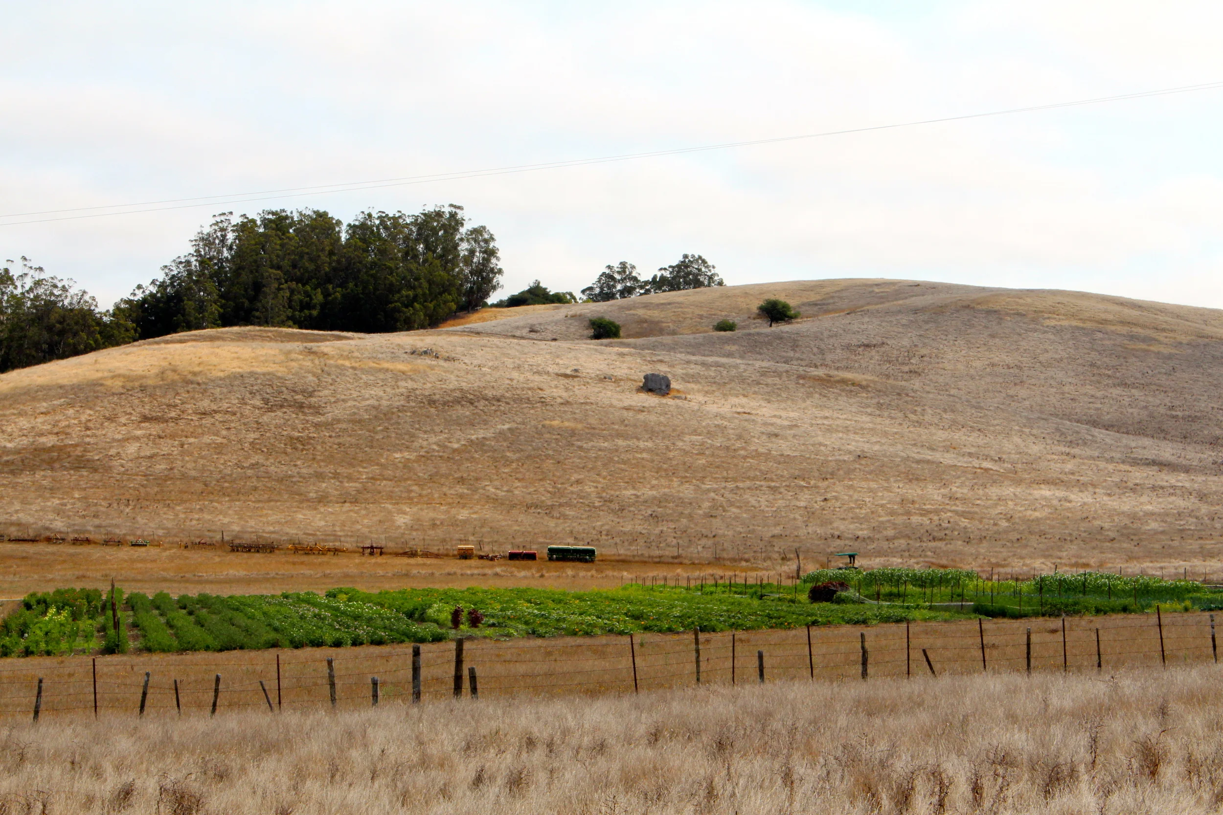 About the CSA — Open Field Farm