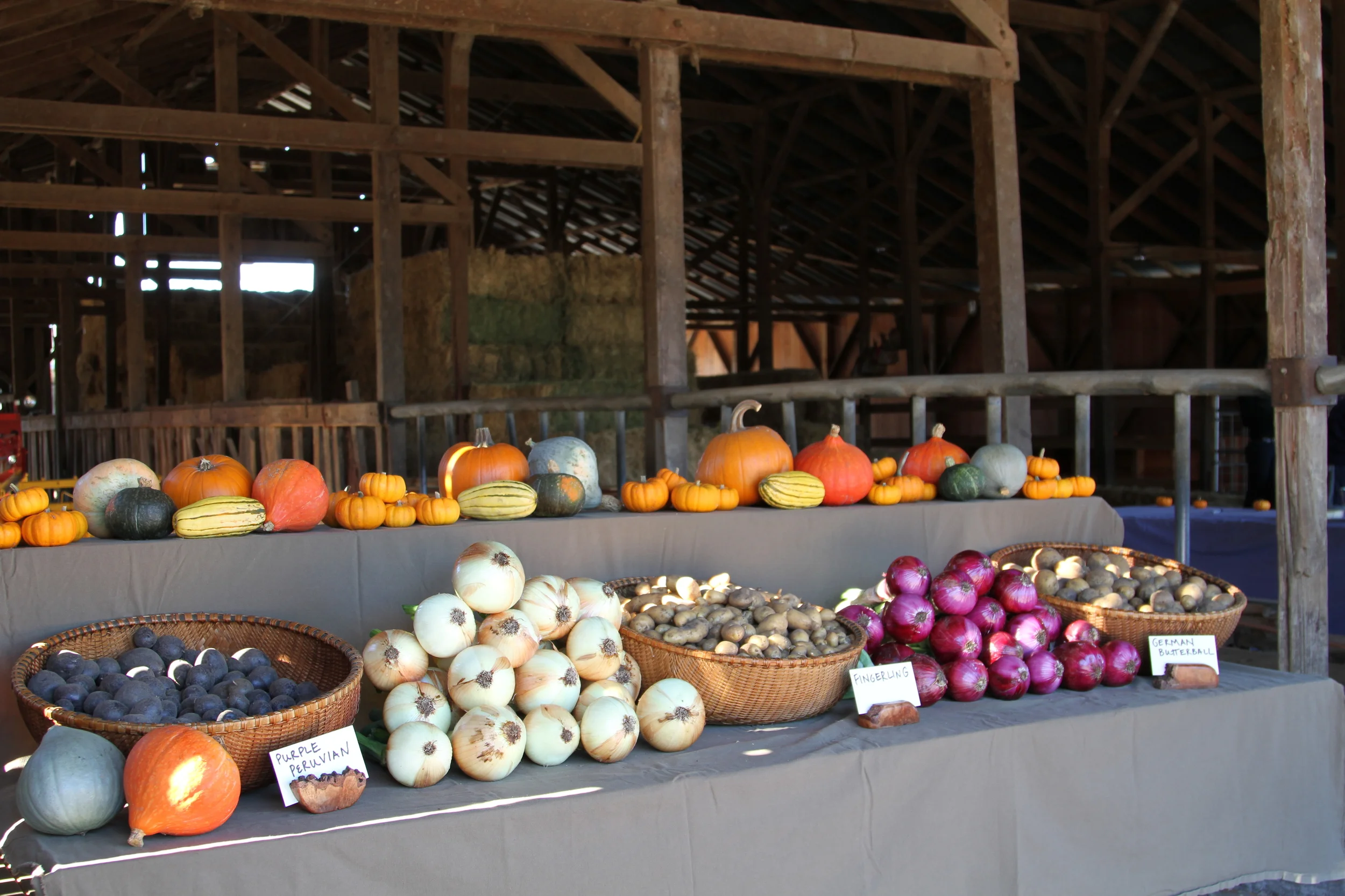 Food — Open Field Farm