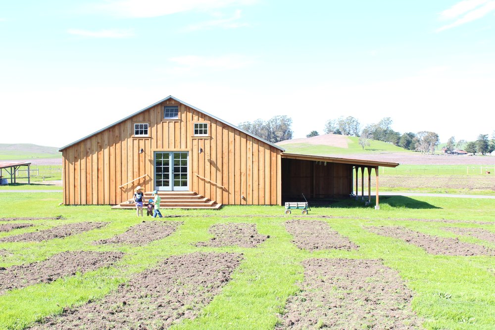 About the CSA — Open Field Farm