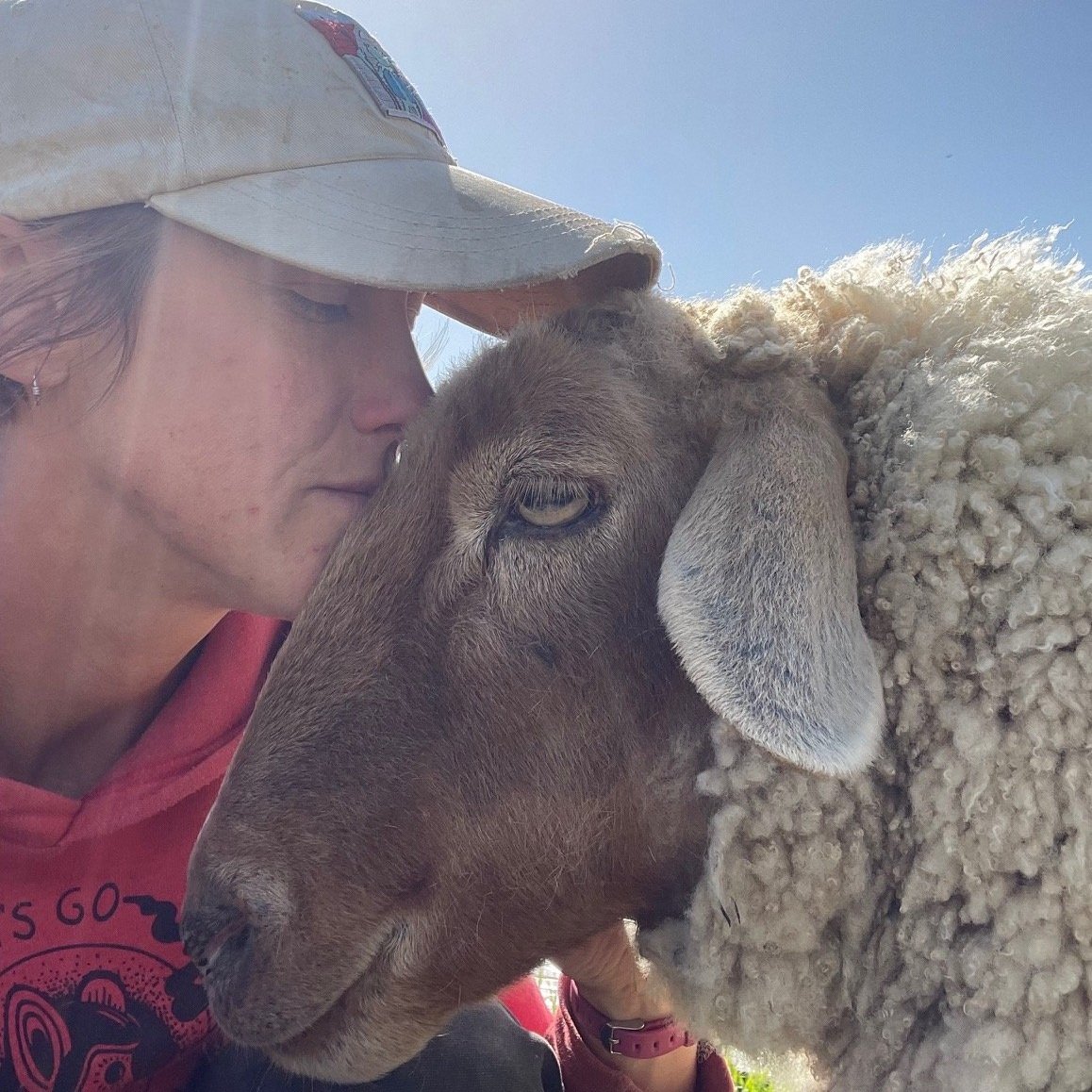 Blog — Open Field Farm