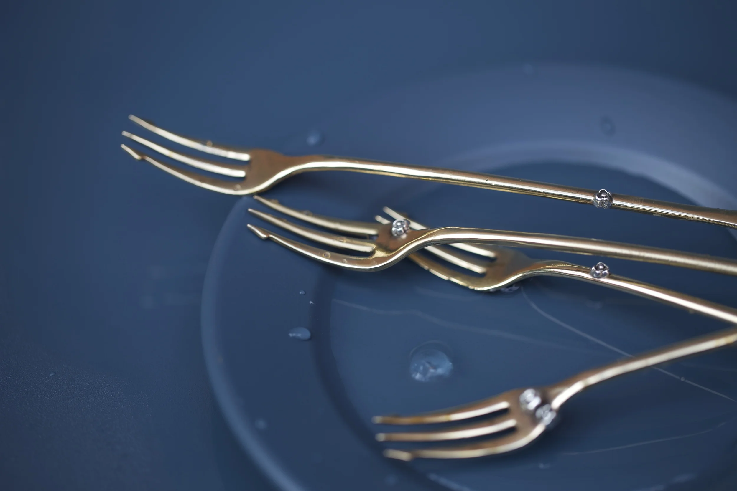 barnacle flatware — ann ladson