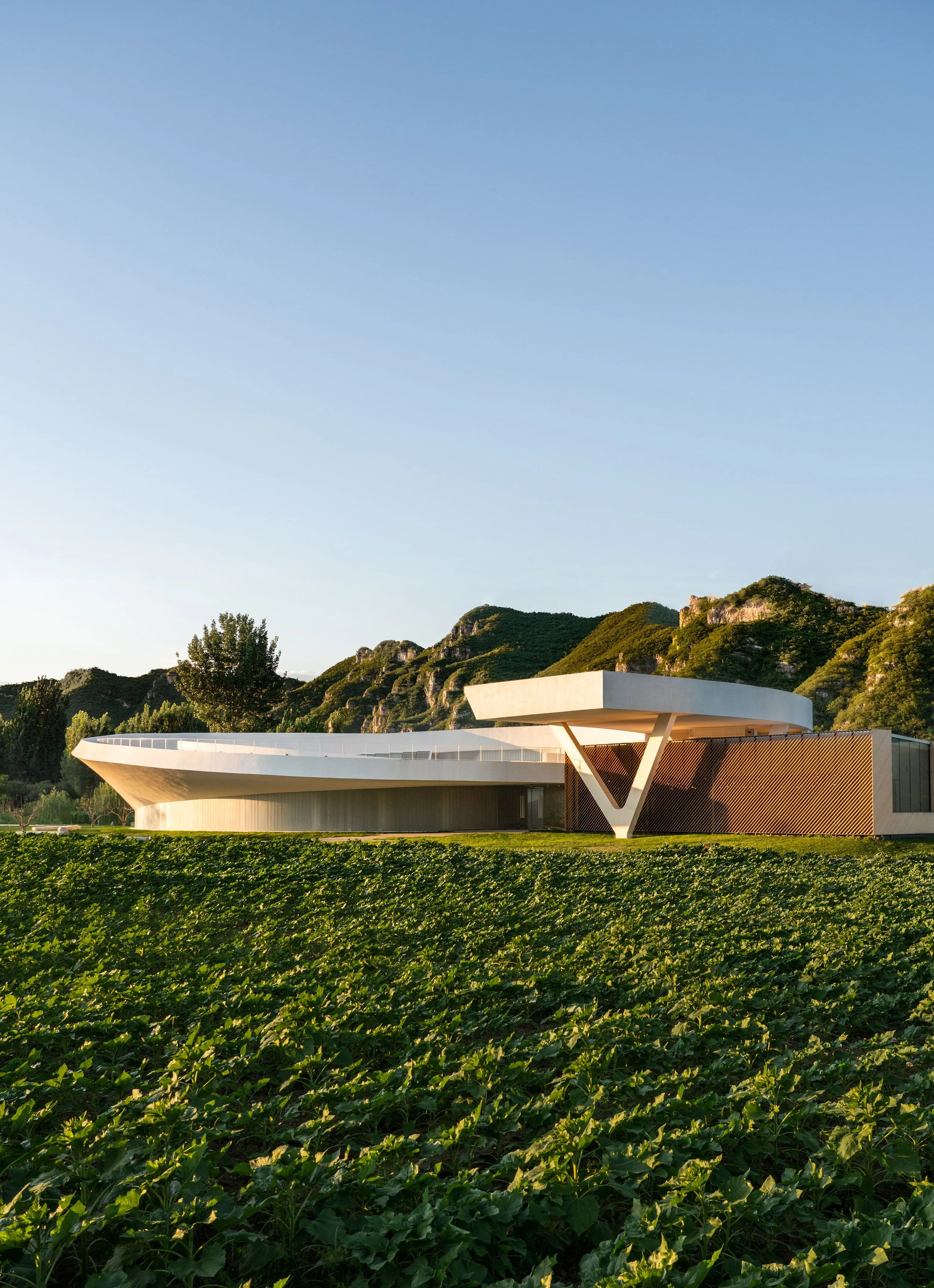 Tiangang Art Center - The Key to Rural Revitalization — merci magazine