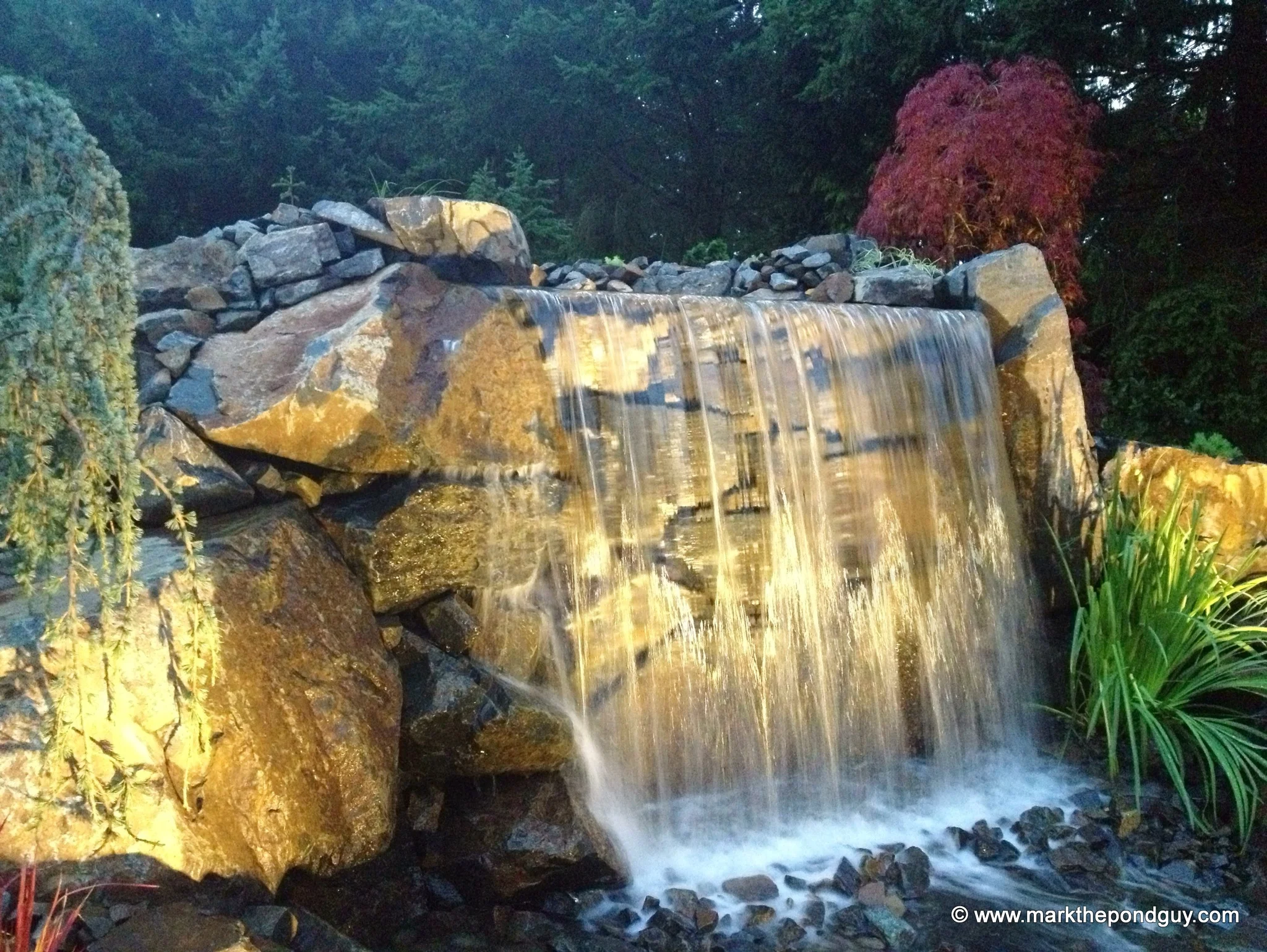 Gallery — Mark The Pond Guy