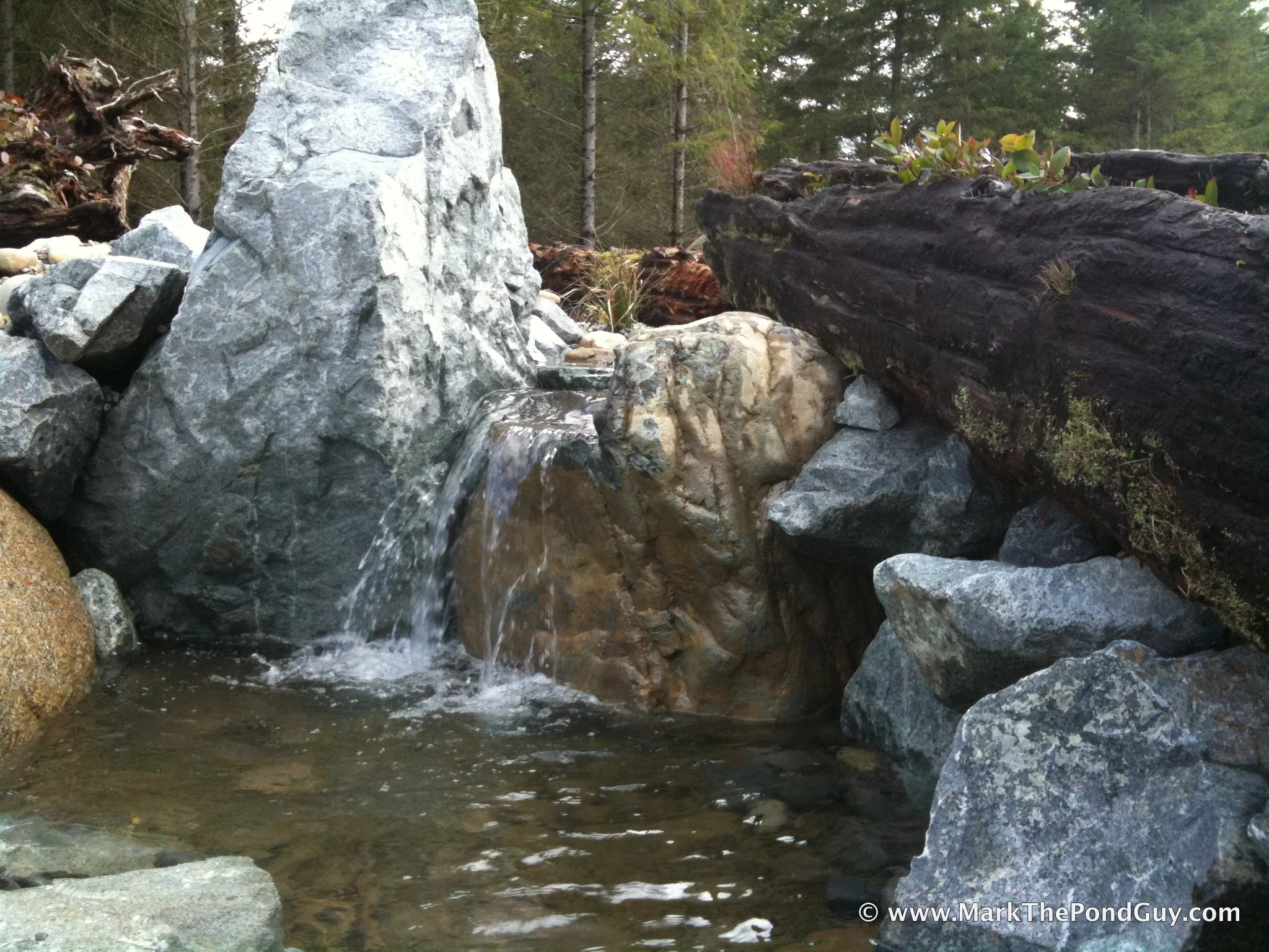 Gallery — Mark The Pond Guy