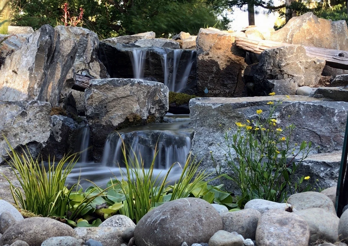 Gallery — Mark The Pond Guy