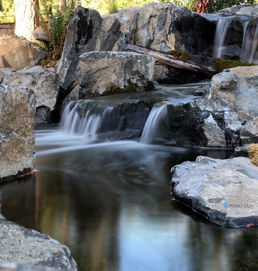 Gallery — Mark The Pond Guy