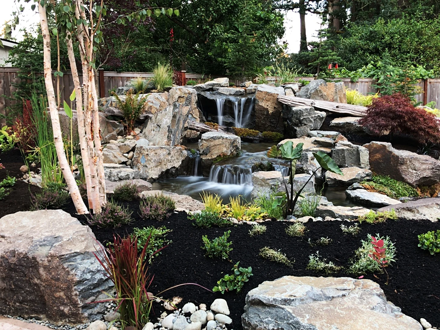 Gallery — Mark The Pond Guy