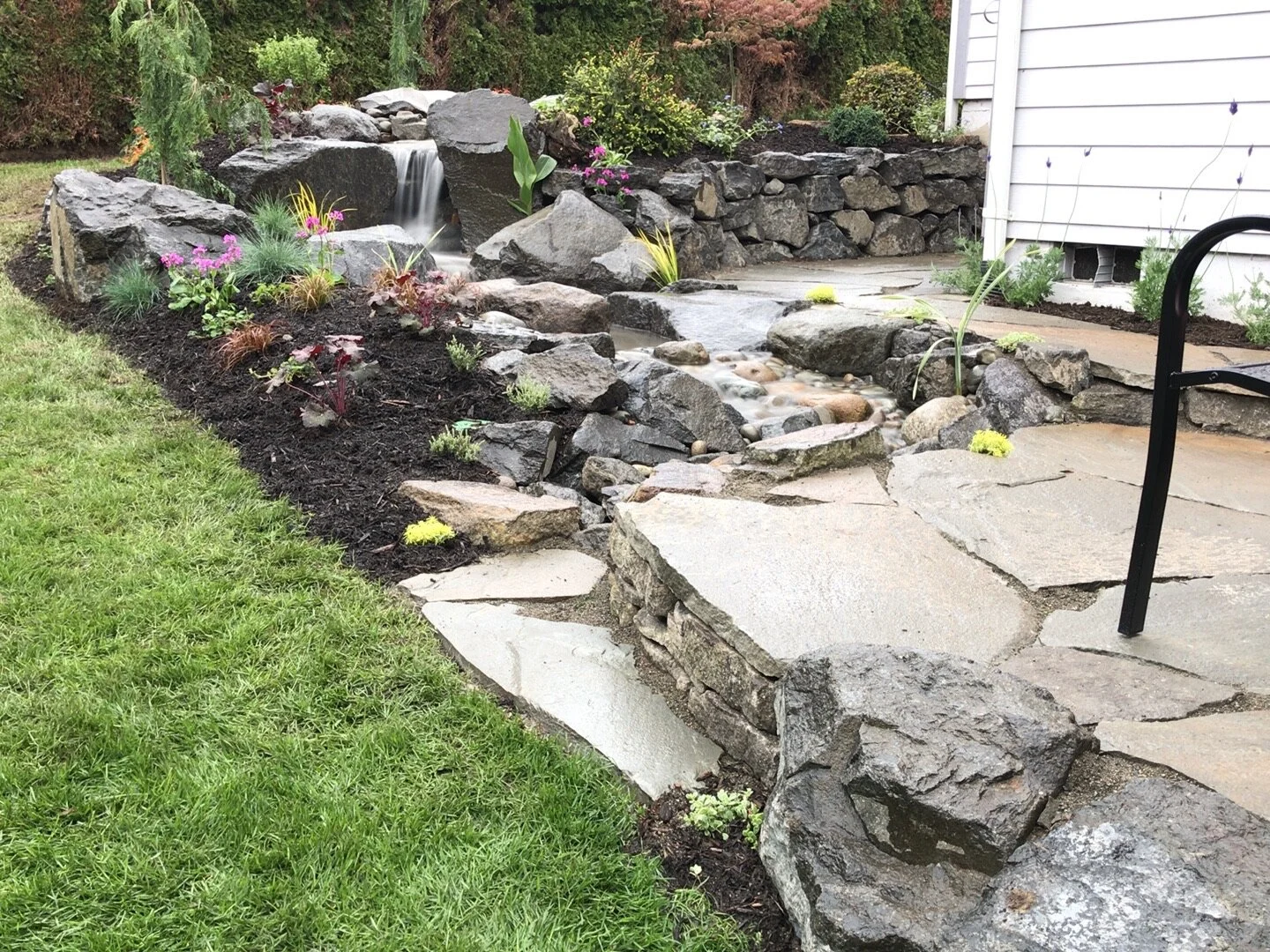 Gallery — Mark The Pond Guy