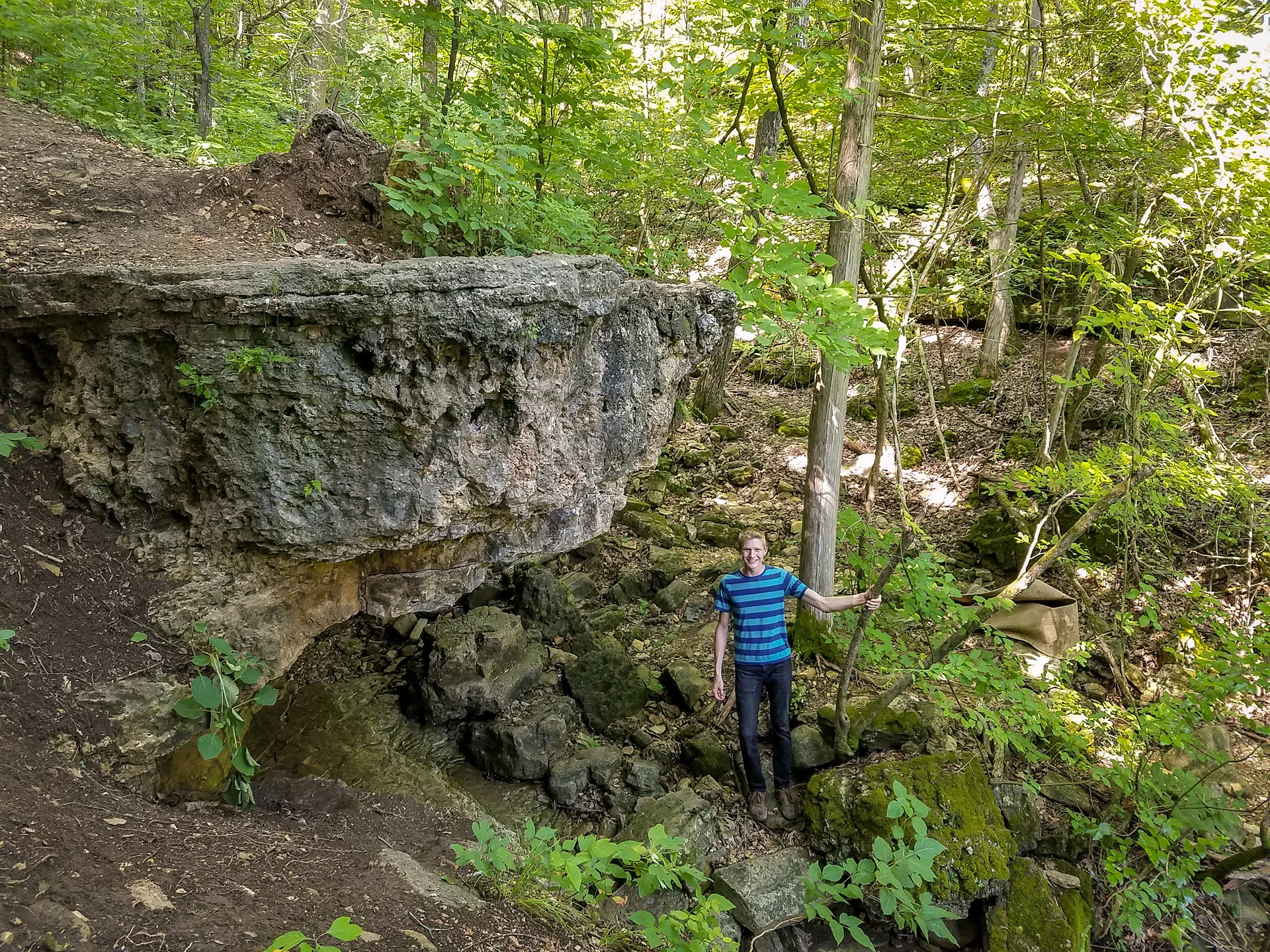 Best Hiking in Branson - Lakeside Forest Wilderness Area — The Johnson ...