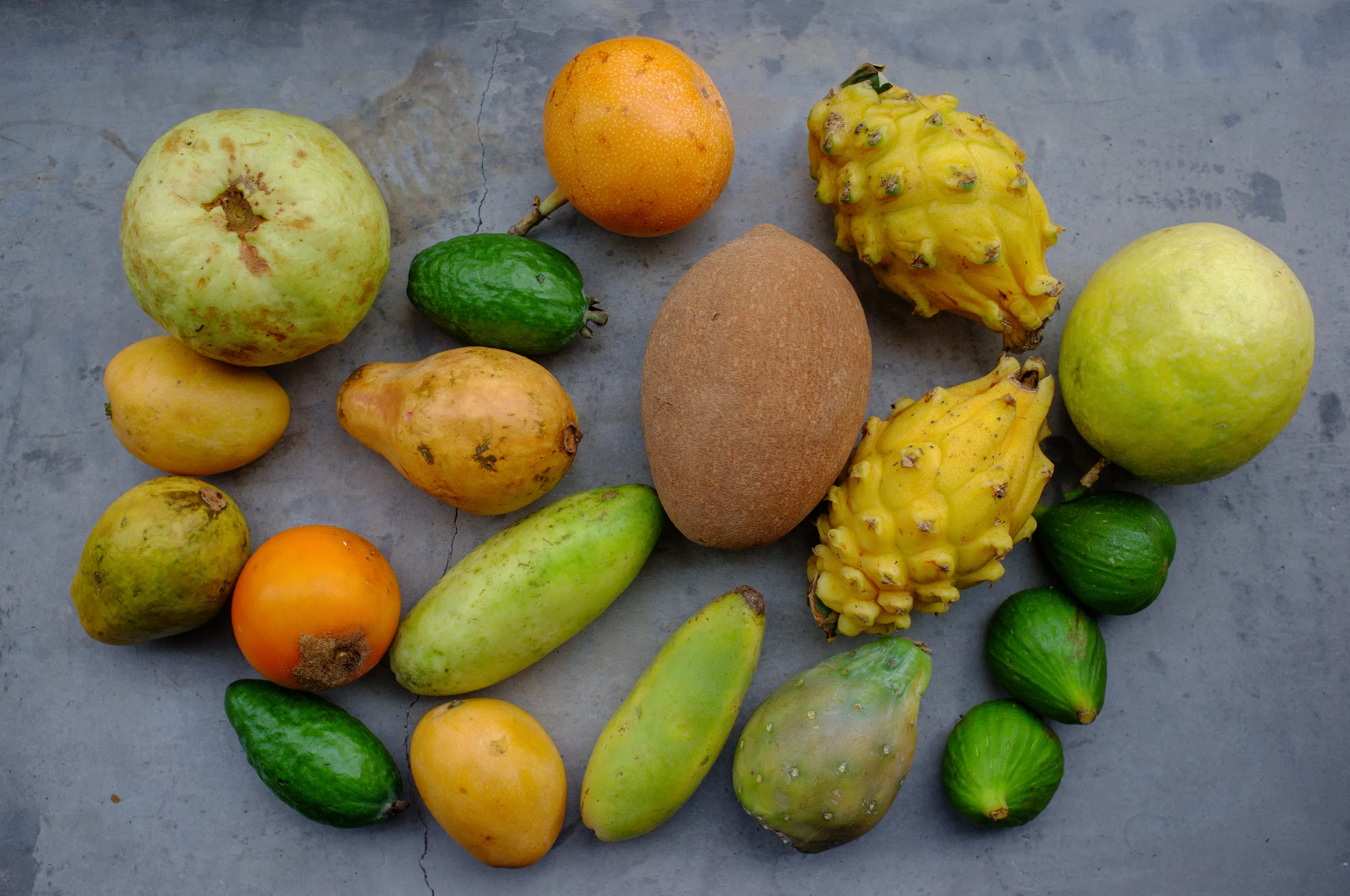 Farmers' Market Finds: Fruits of Colombia — polka dot socks