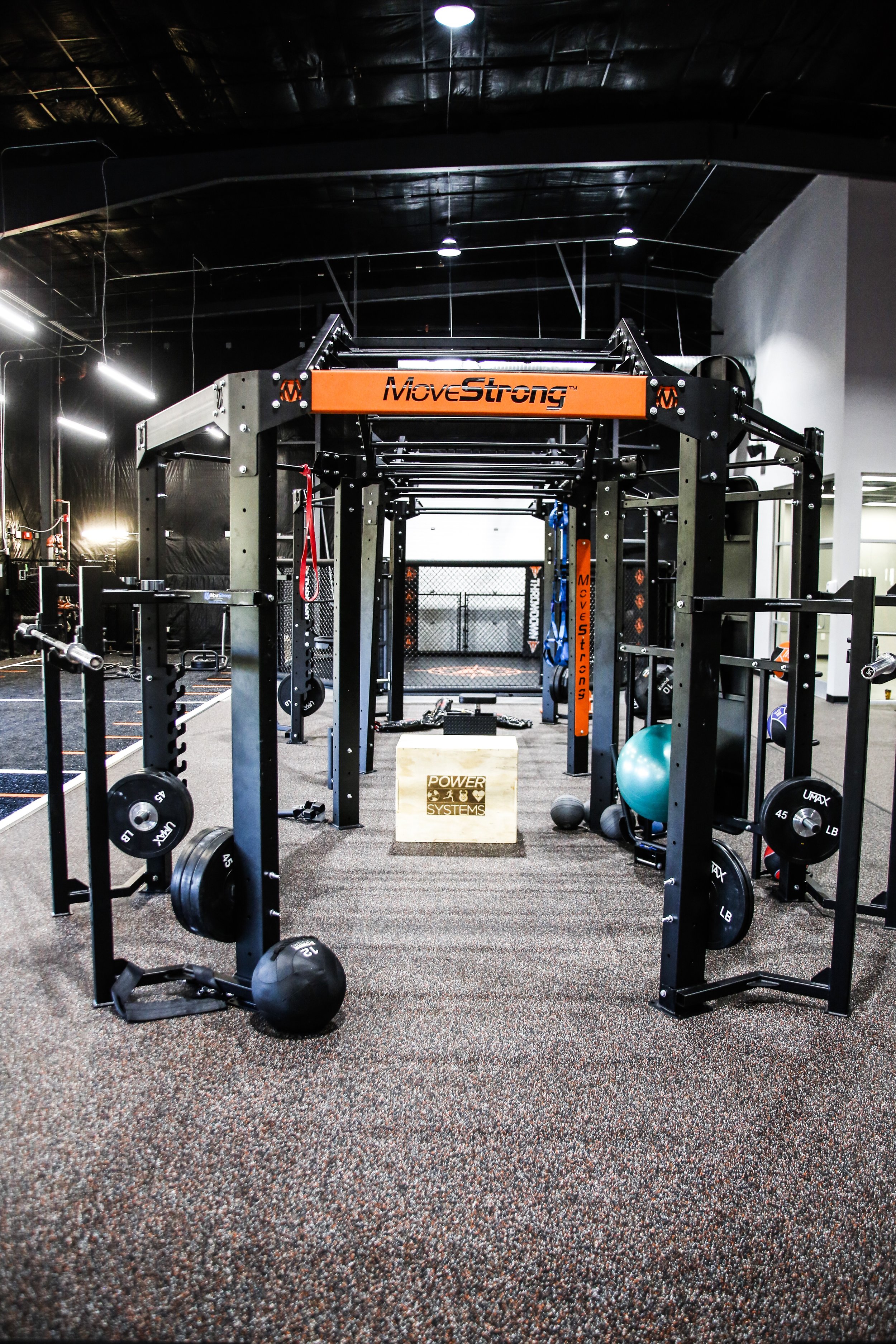 Custom MoveStrong FTS for State of the Art Strength Training And ...
