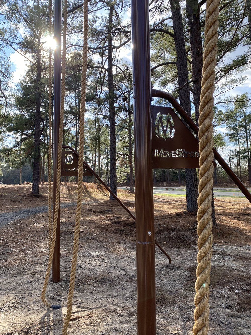 Celebrating 12 Years Strong! - MoveStrong