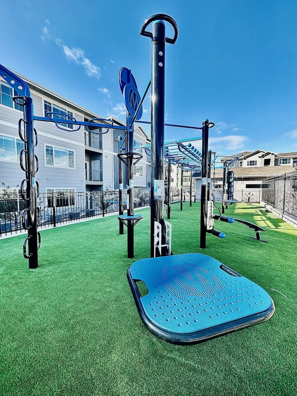 Top Outdoor Workout Station- T-Rex