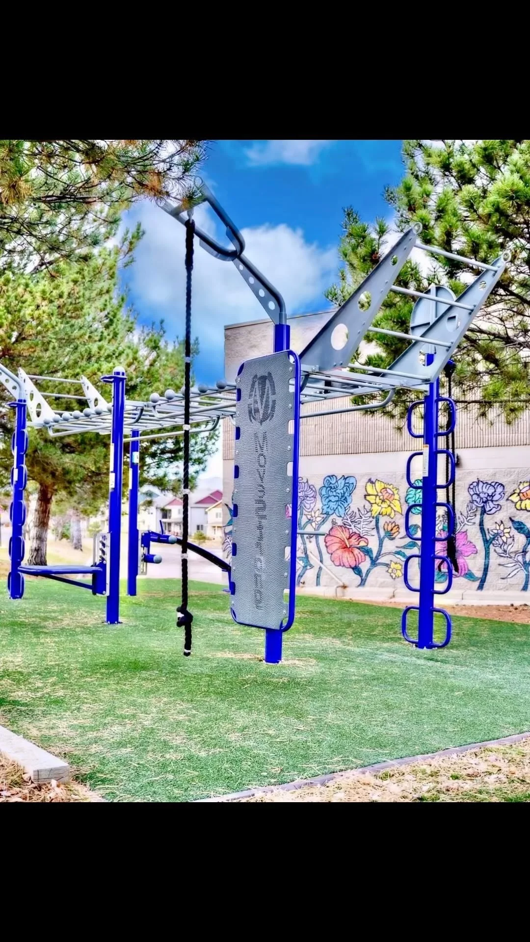 MoveStrong Functional Fitness | Indoor/Outdoor Custom Training ...