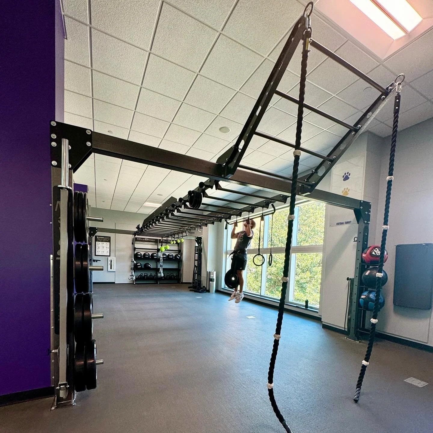 Nova XL Bridge Modular Extended Bridge - MoveStrong