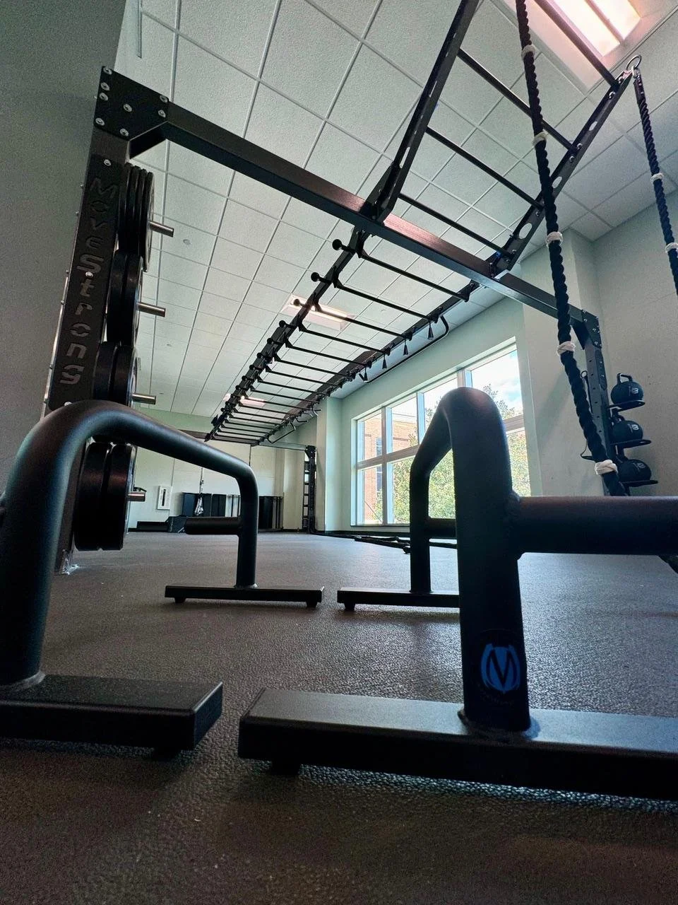 Nova Link Bridge + Elite Storage Racks: The Ultimate Functional Fitness ...