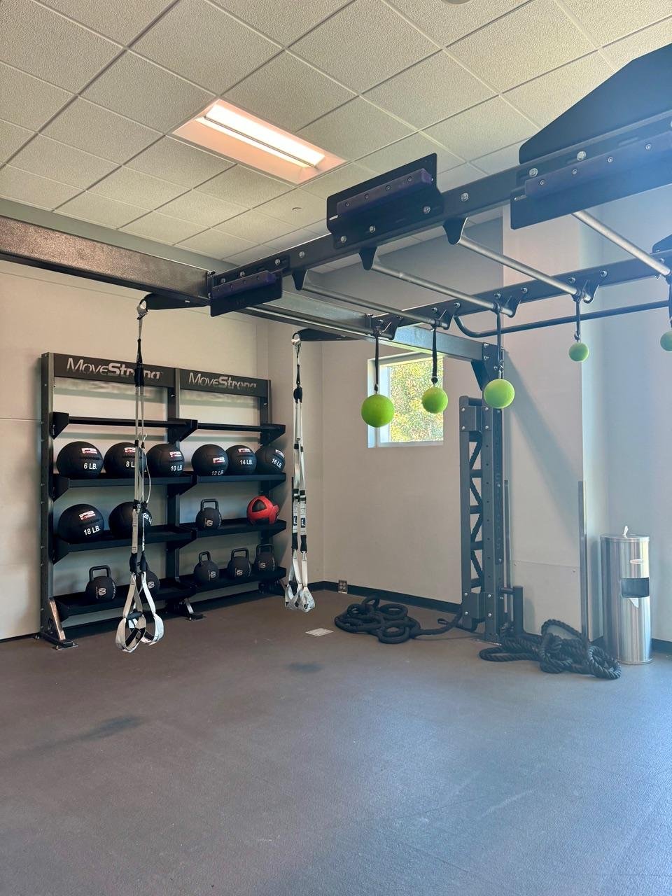 Nova Link Bridge + Elite Storage Racks: The Ultimate Functional Fitness ...