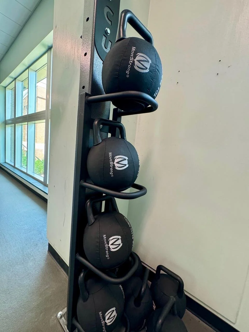 Nova Link Bridge + Elite Storage Racks: The Ultimate Functional Fitness ...