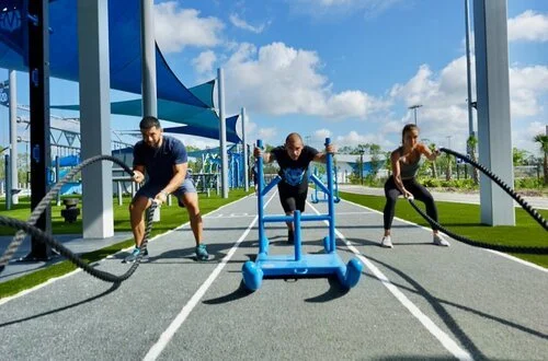 Outdoor Gym Equipment and Fitness Solutions