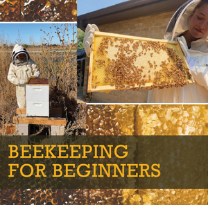 Classes & Workshops — Denver Tool Library | Lending, DIY Classes & Community Workshop