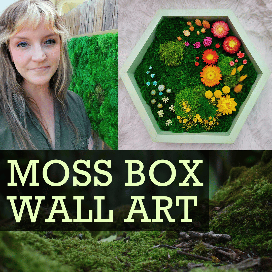 Moss Box Wall Art Class — Denver Tool Library | Lending, DIY Classes ...