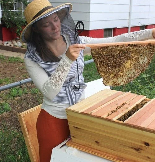 Beekeeping I: Bees, Hives & Honey Class — Denver Tool Library | Lending ...
