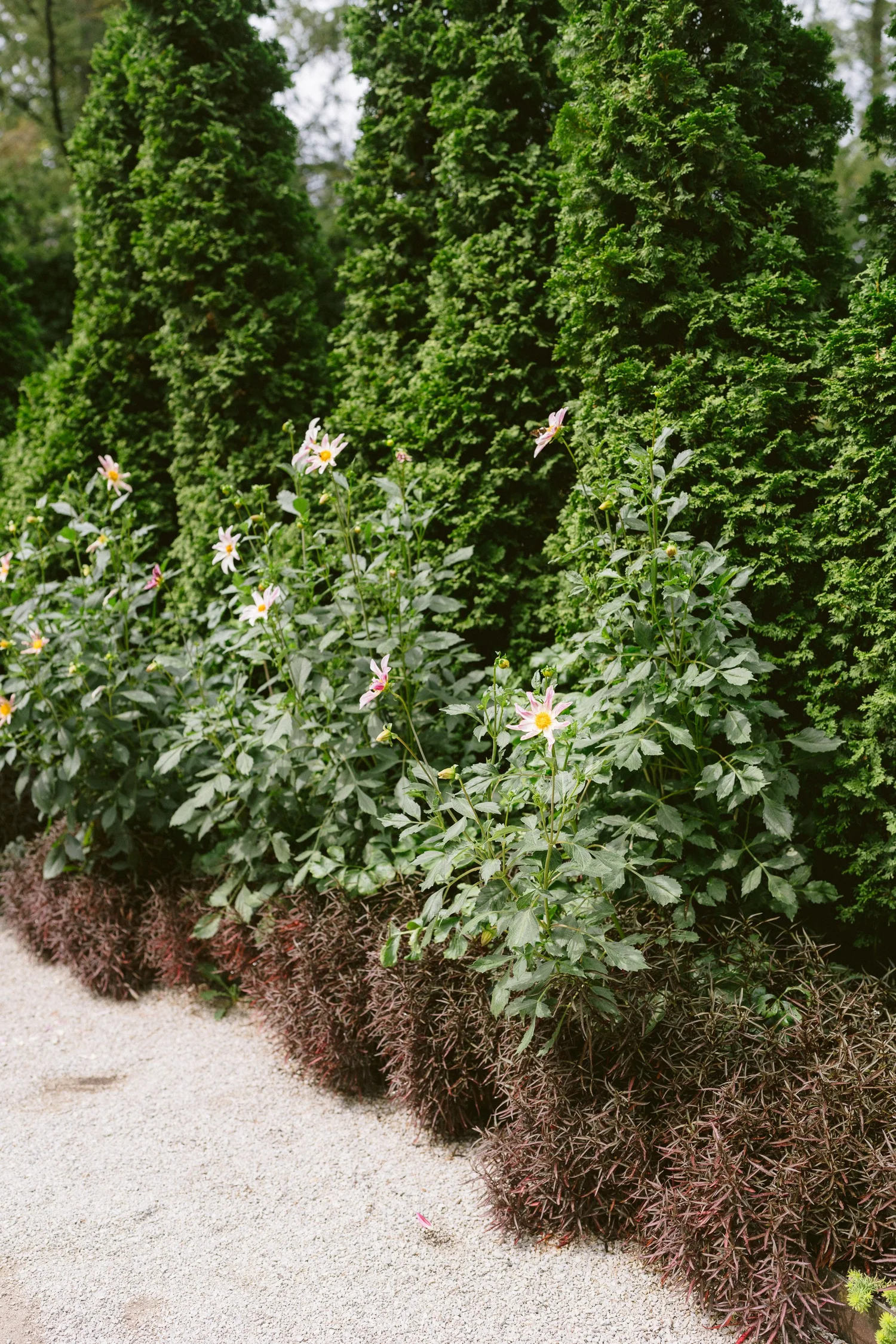 A Modern Wedding with a Timeless Cultural Touch at the Omni Severin ...
