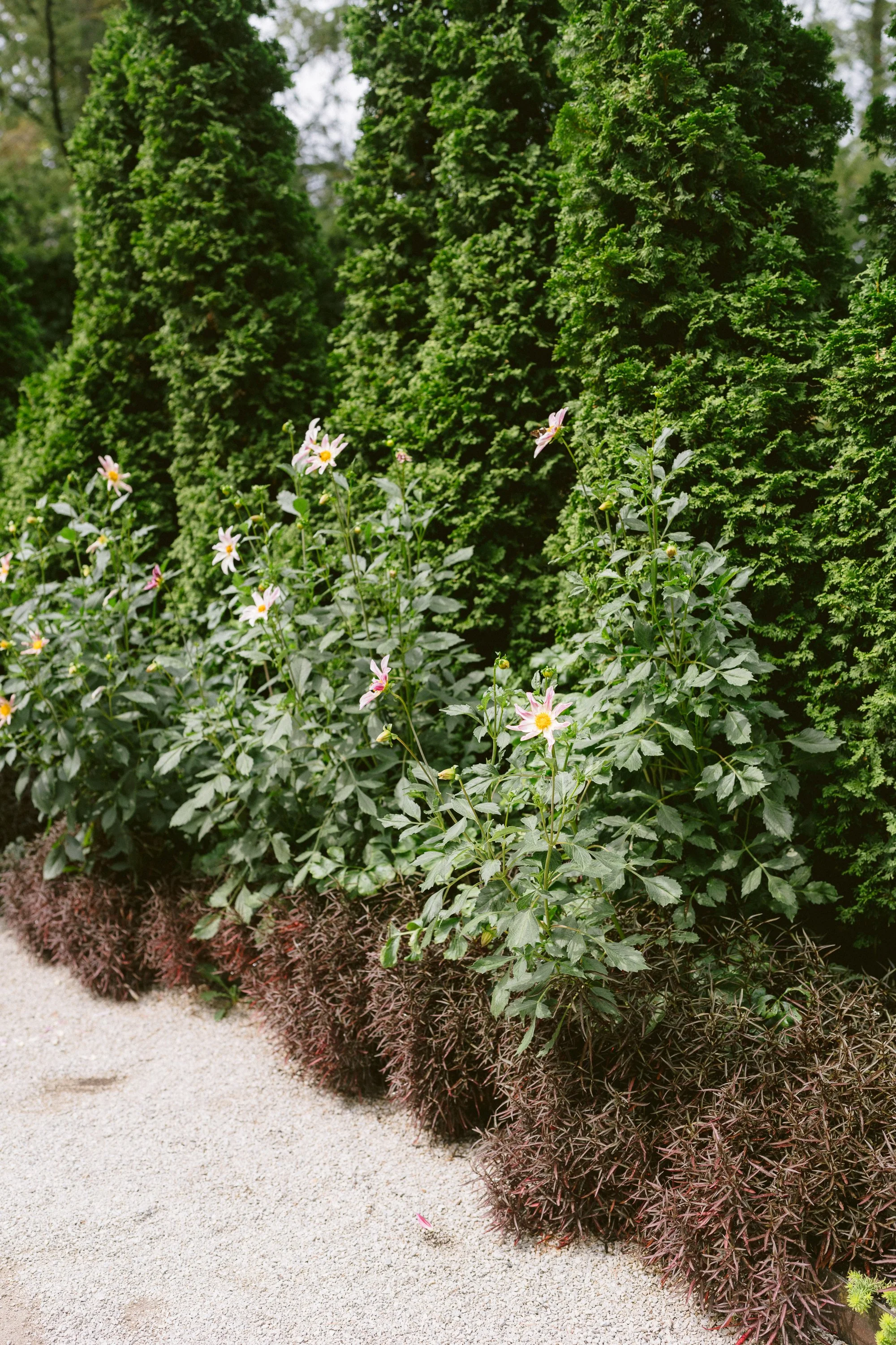 A Modern Wedding with a Timeless Cultural Touch at the Omni Severin ...