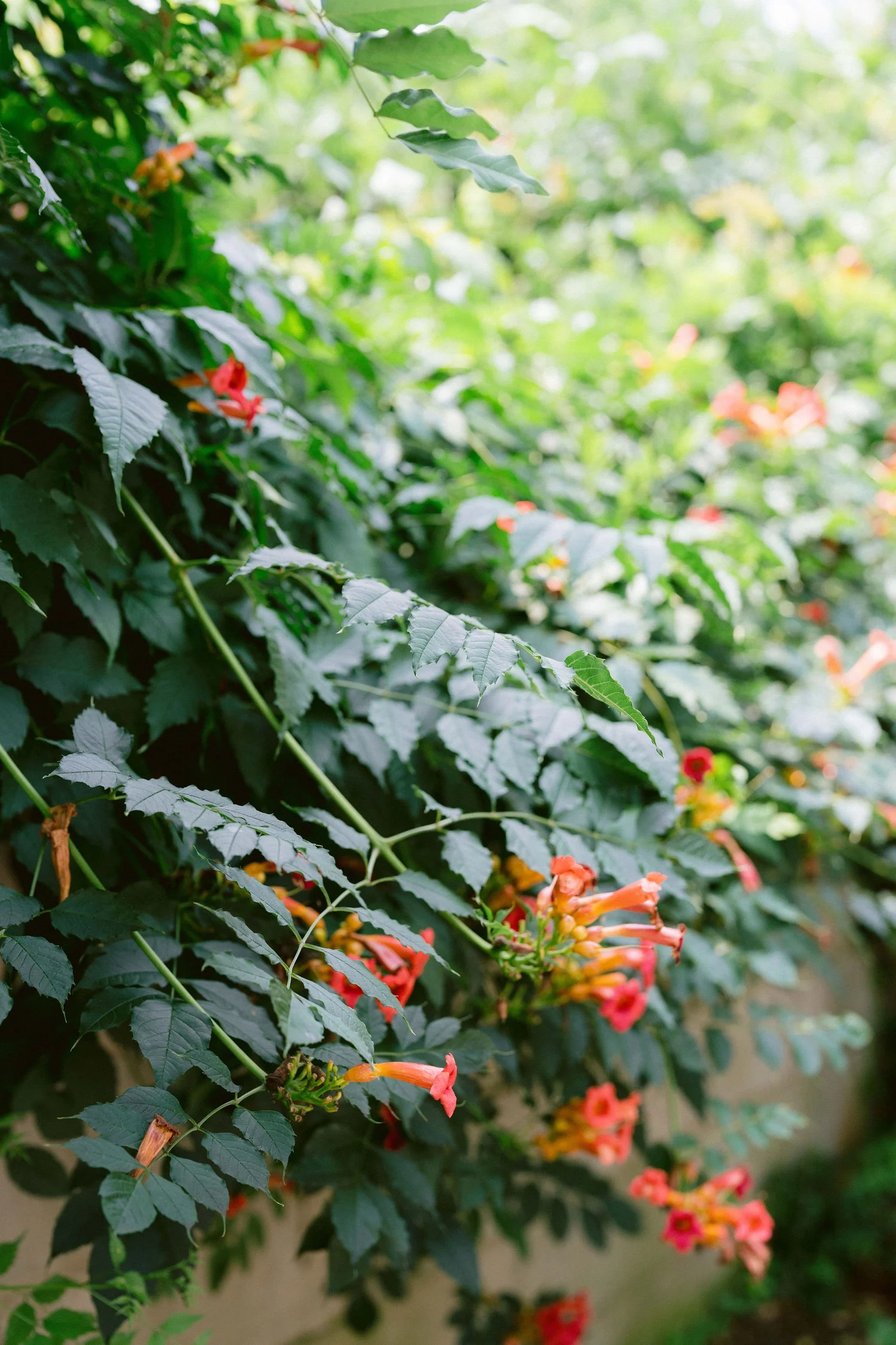 Southwest Michigan Wedding Venue Millhaven — Erika Aileen Photography