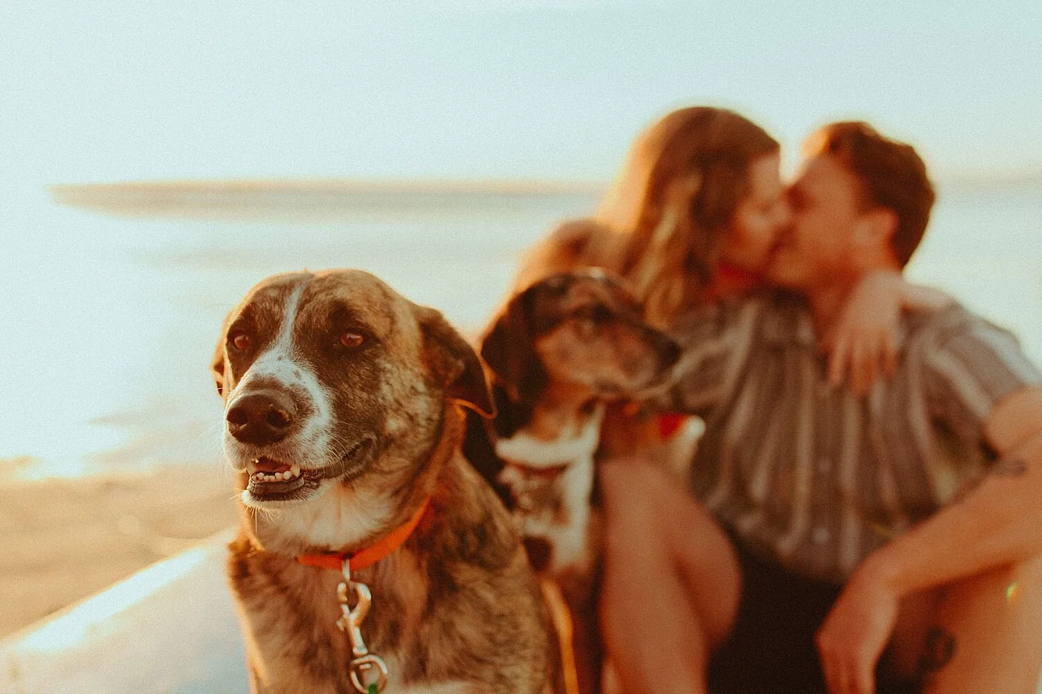 San Luis Obispo Surfing Couples Shoot // Grover Beach, CA // Tessa ...