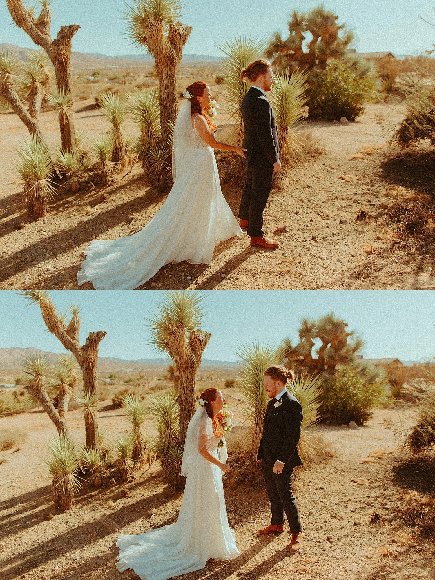 Joshua Tree Tiny Wedding // Joshua Tree, CA — Oregon Wedding ...