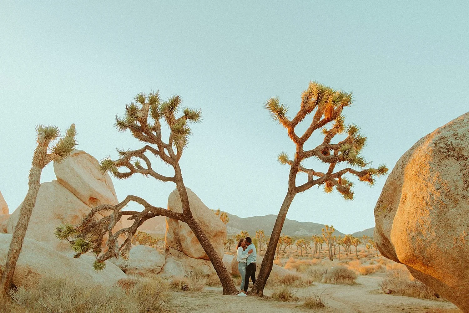 Oregon Wedding Photographer - Andie Avery Photography