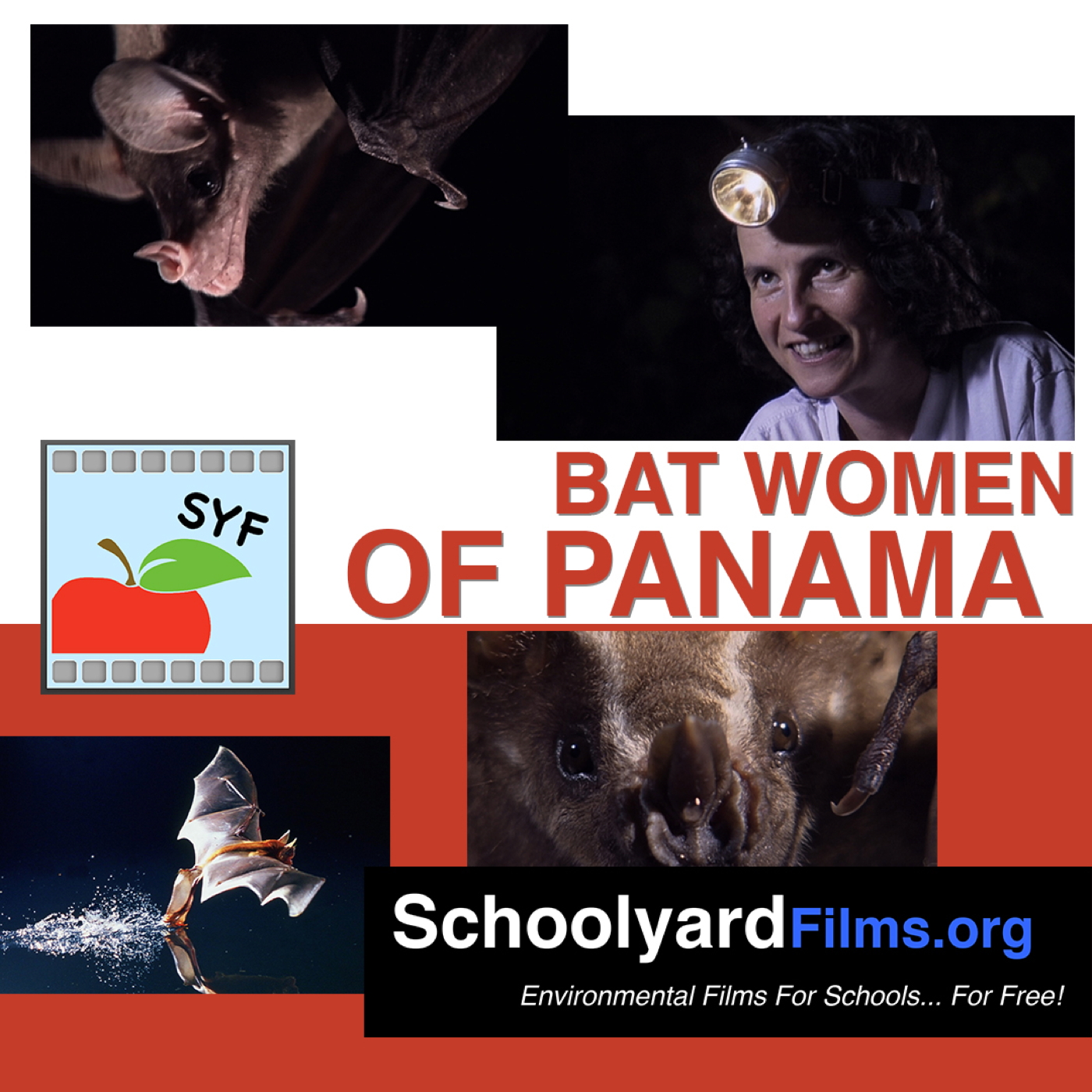 Films and Study Guides — Schoolyard Films