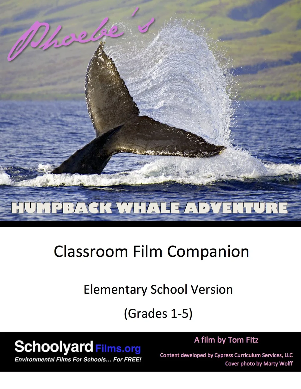 Films and Study Guides — Schoolyard Films